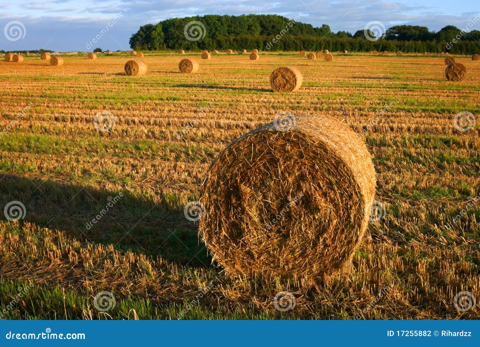 First Sunlight on Bales of Straw in the Field Stock Photo - Image of ...