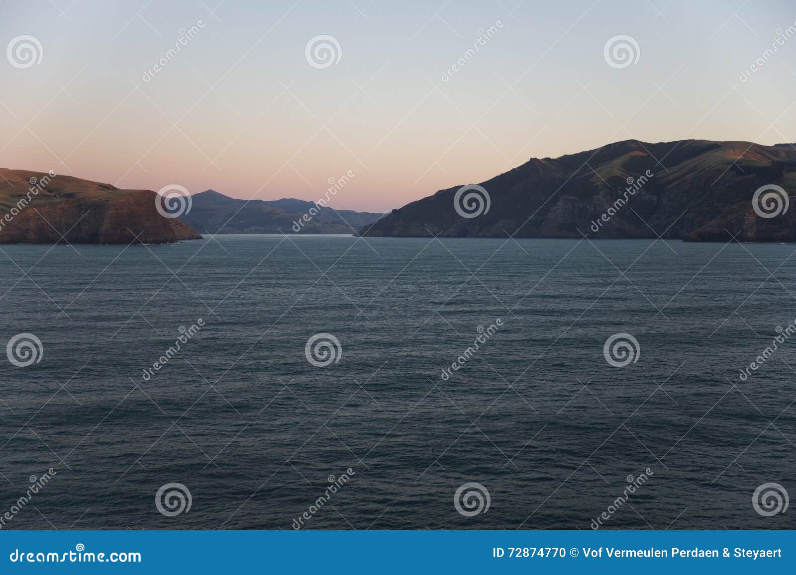 Sunlight Is Illuminating The Terada Plant. It Looks Like A Black And ...