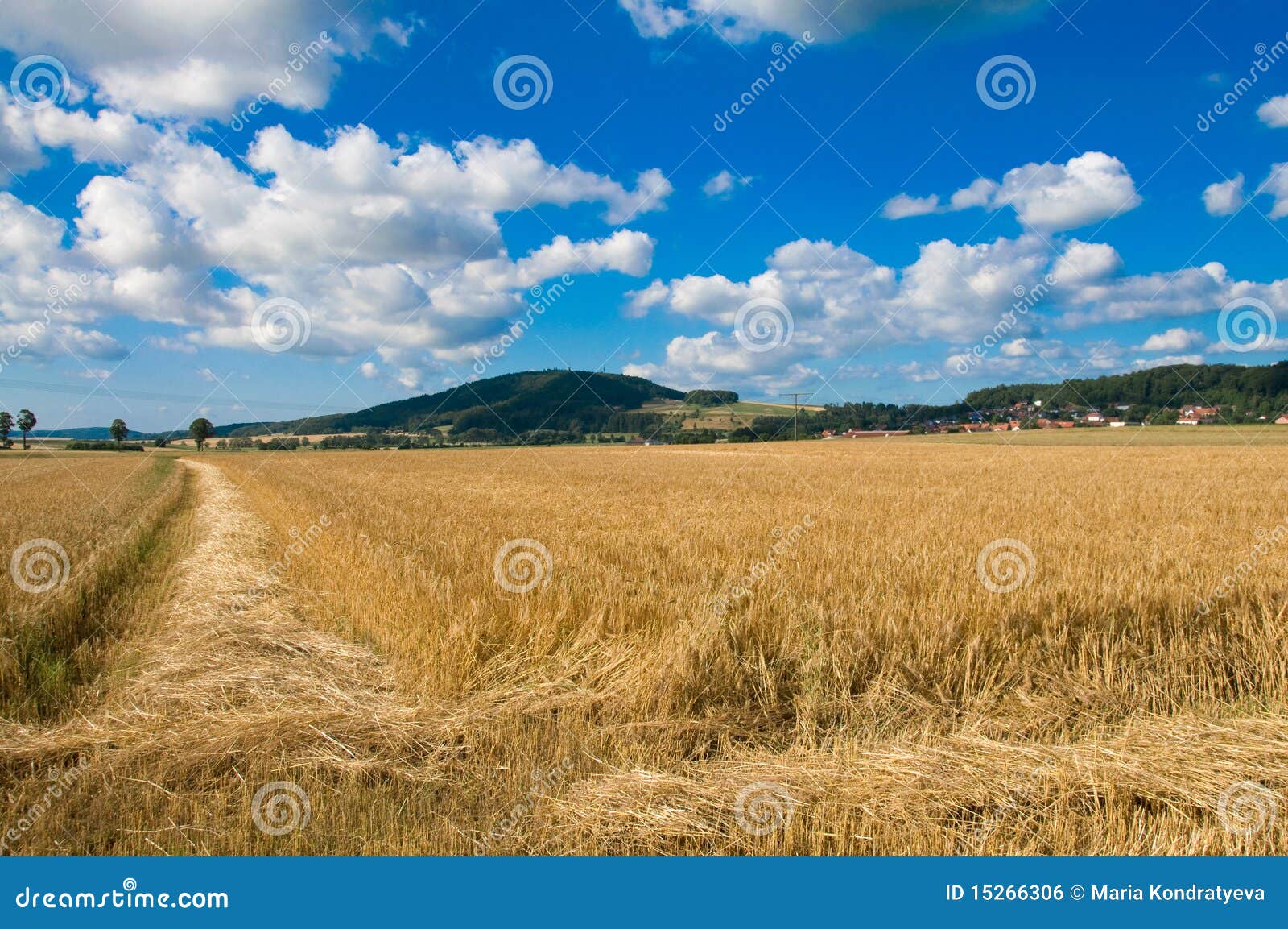 First swath. stock photo. Image of organic, grass, outskirts - 15266306