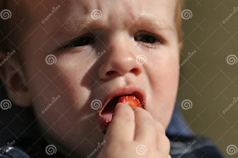 First taste stock image. Image of tasting, baby, strawberry - 942195