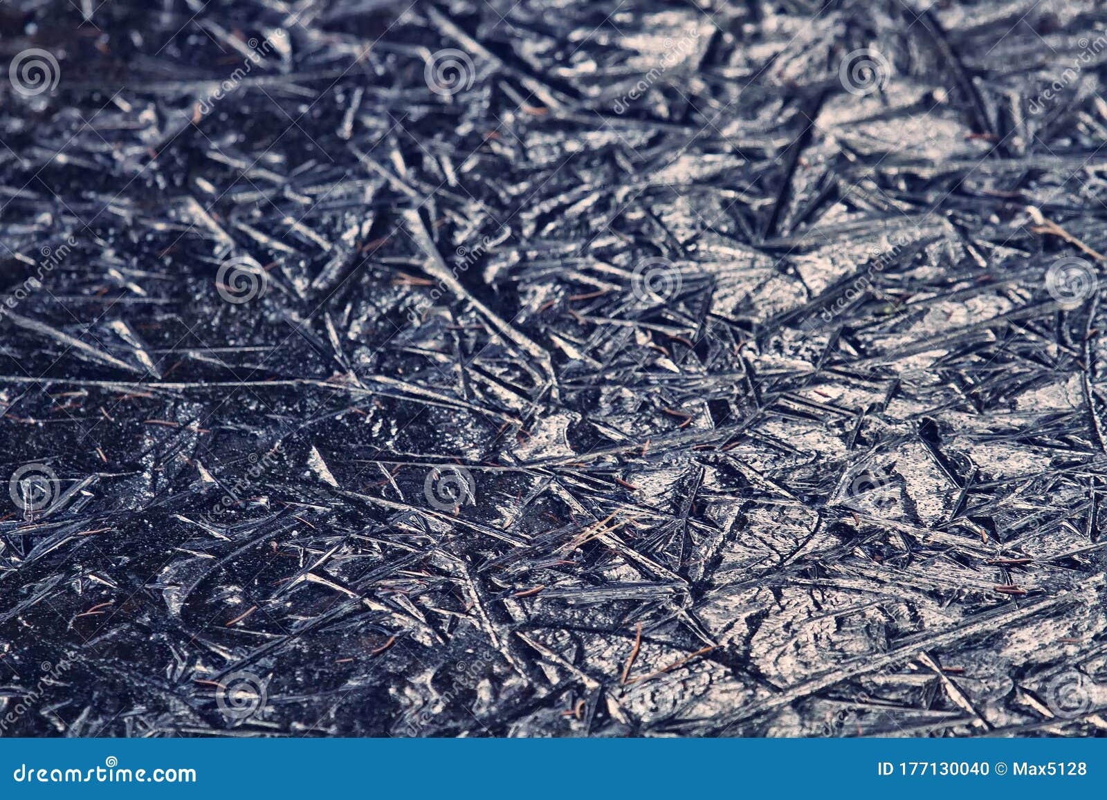 The First Thin Crust of Ice on a Puddle Stock Photo - Image of water ...