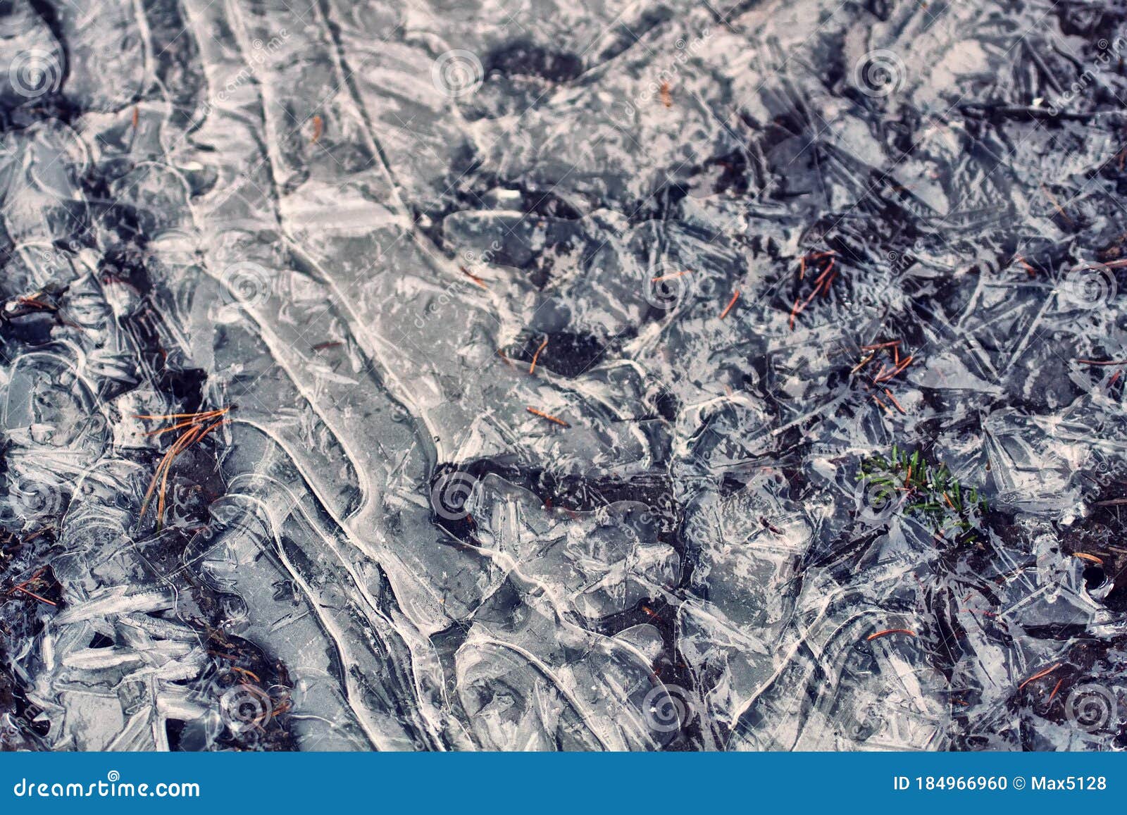 The First Thin Crust of Ice on a Puddle Stock Photo - Image of blue ...
