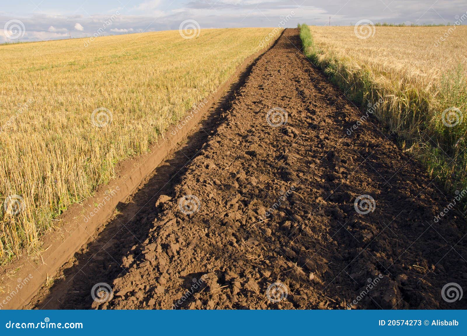 First Tillage Trench in the Crop Field Stock Image - Image of country ...