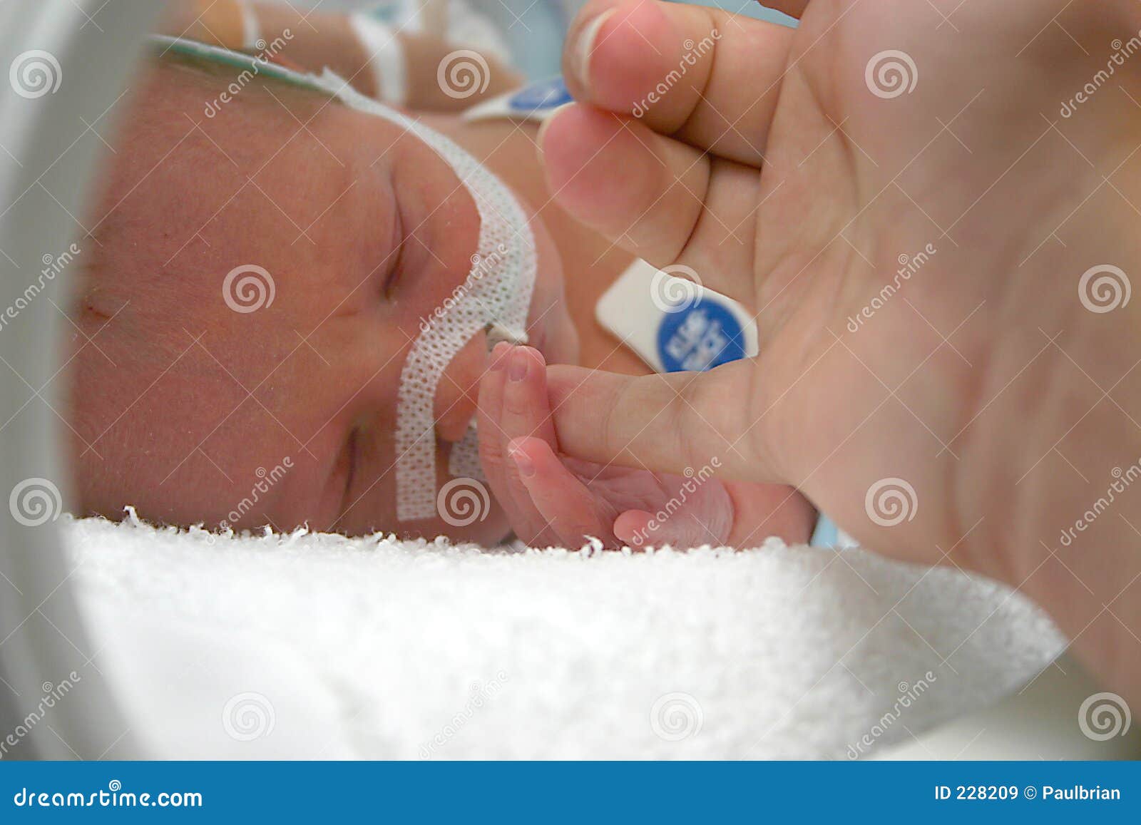First touch stock image. Image of poignant, nurture, hope - 228209