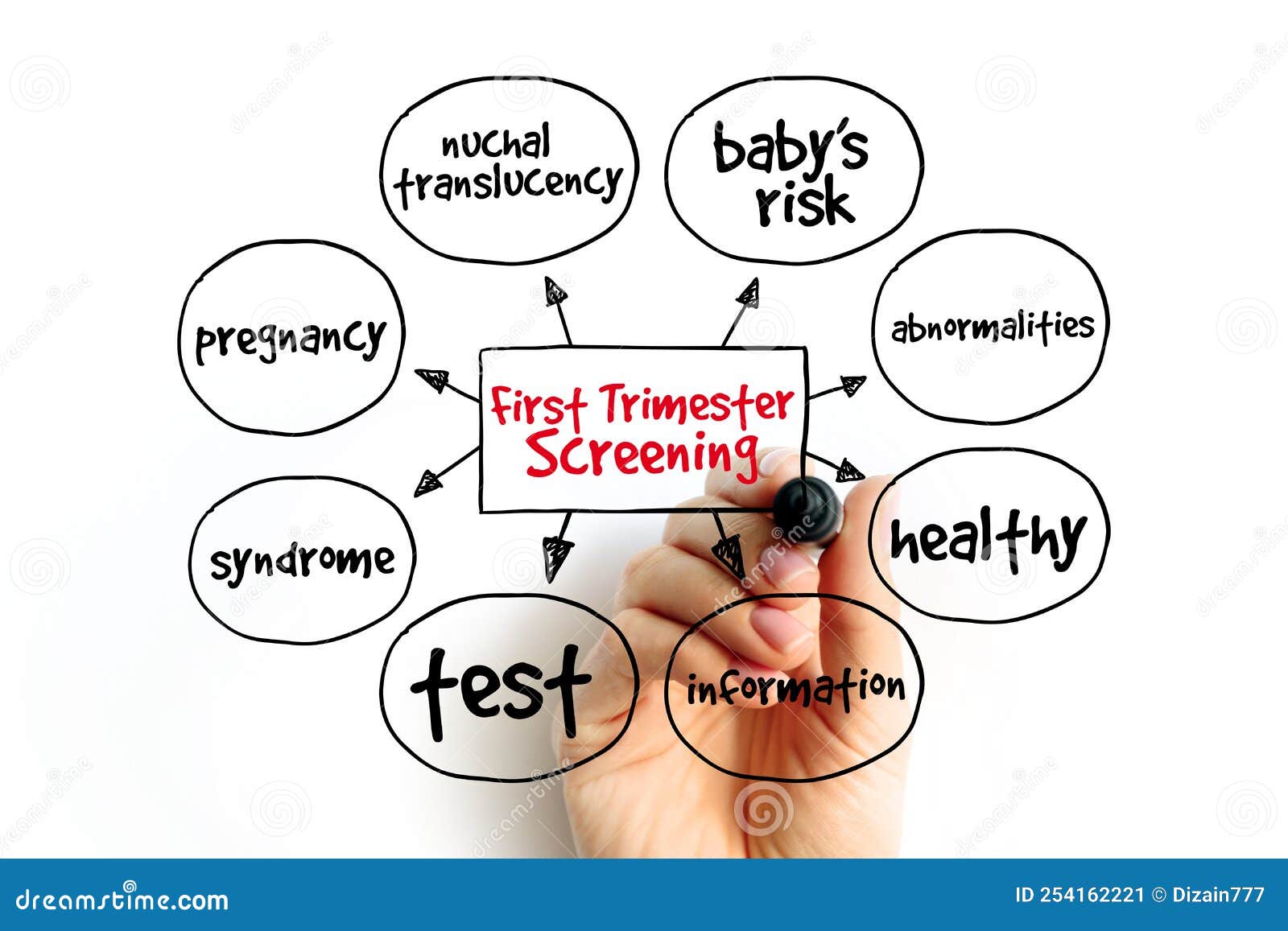 First Trimester Screening Mind Map, Health Concept for Presentations ...
