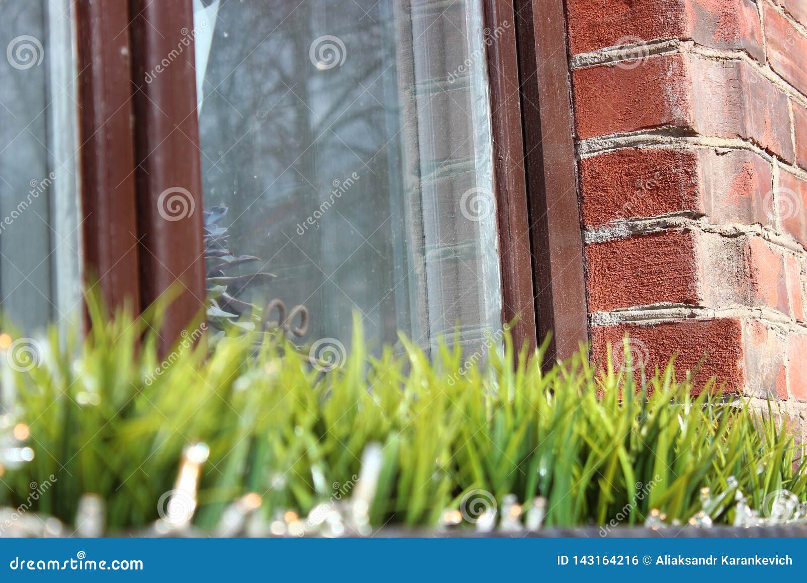 The First Vegetation after Winter, Window Decoration. Grass in a Vase ...