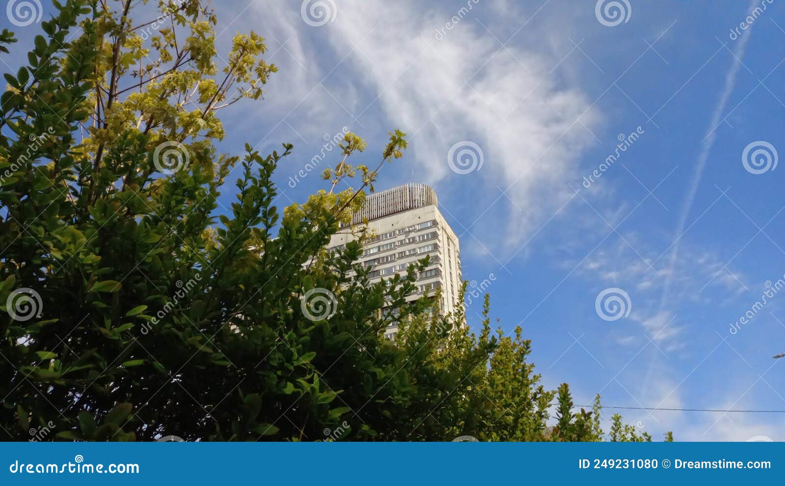 First week of summer stock photo. Image of leaf, plant - 249231080
