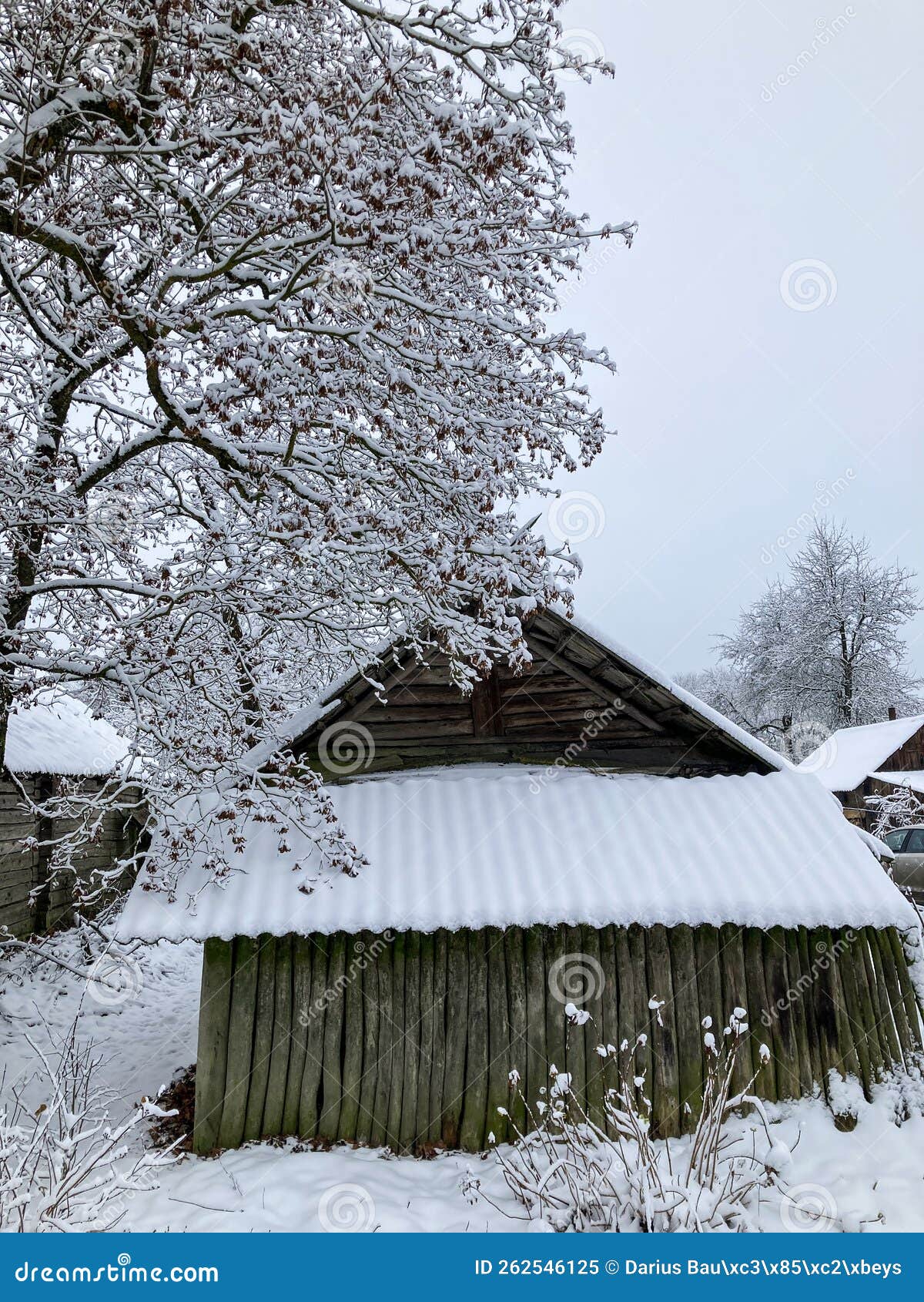 The First White Fluffy Snow this Year Stock Image - Image of cold ...