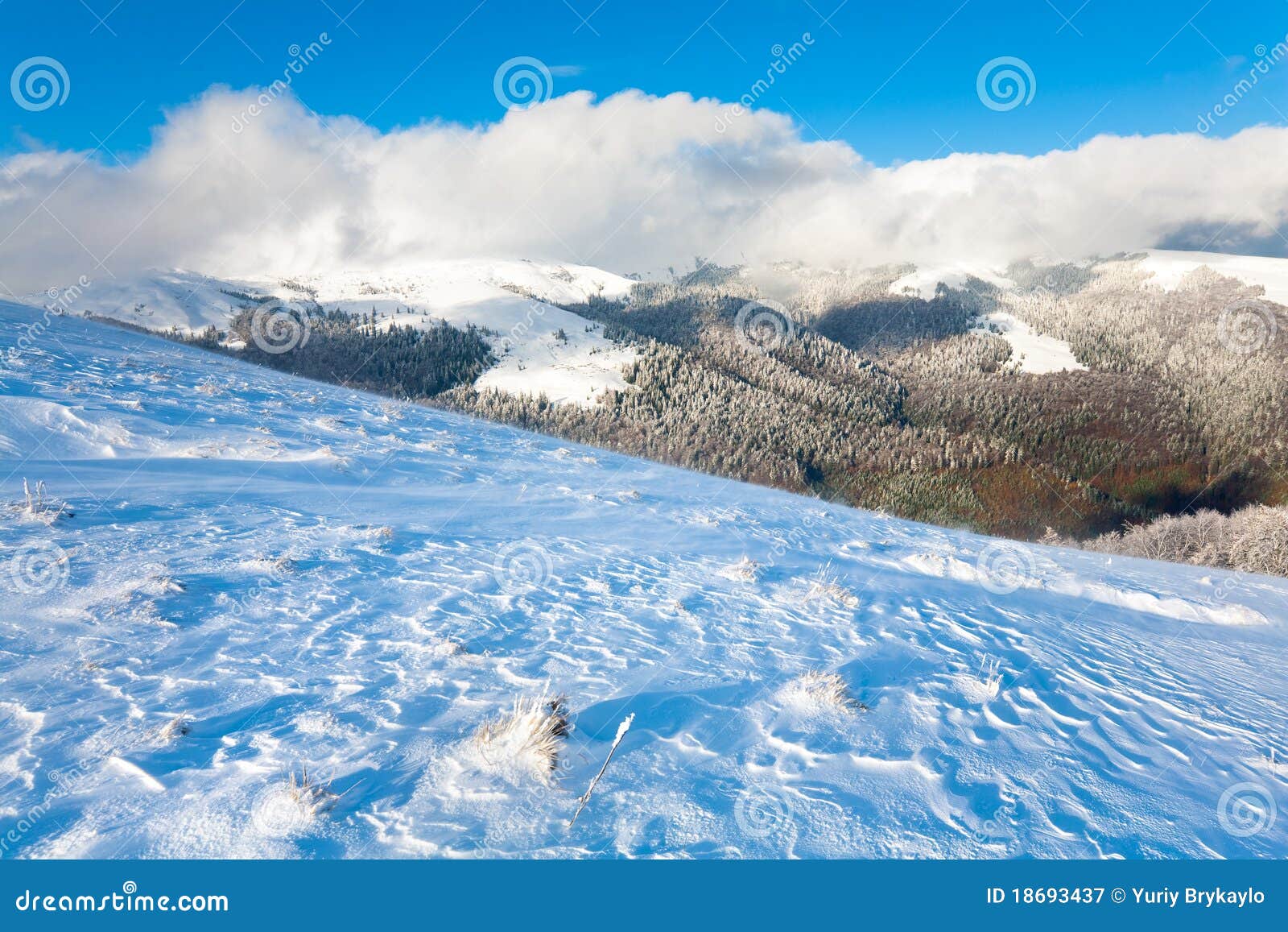First Winter Snow and Last Autumn Foliage in Mount Stock Image - Image ...