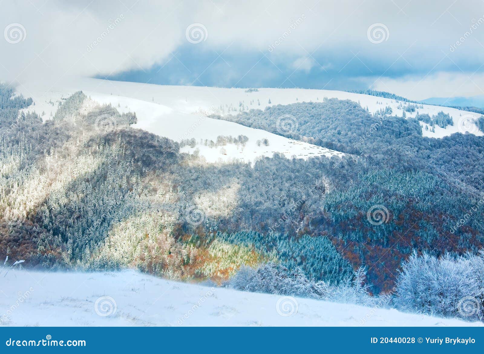 First Winter Snow in Mountain Stock Photo - Image of overcast, snow ...