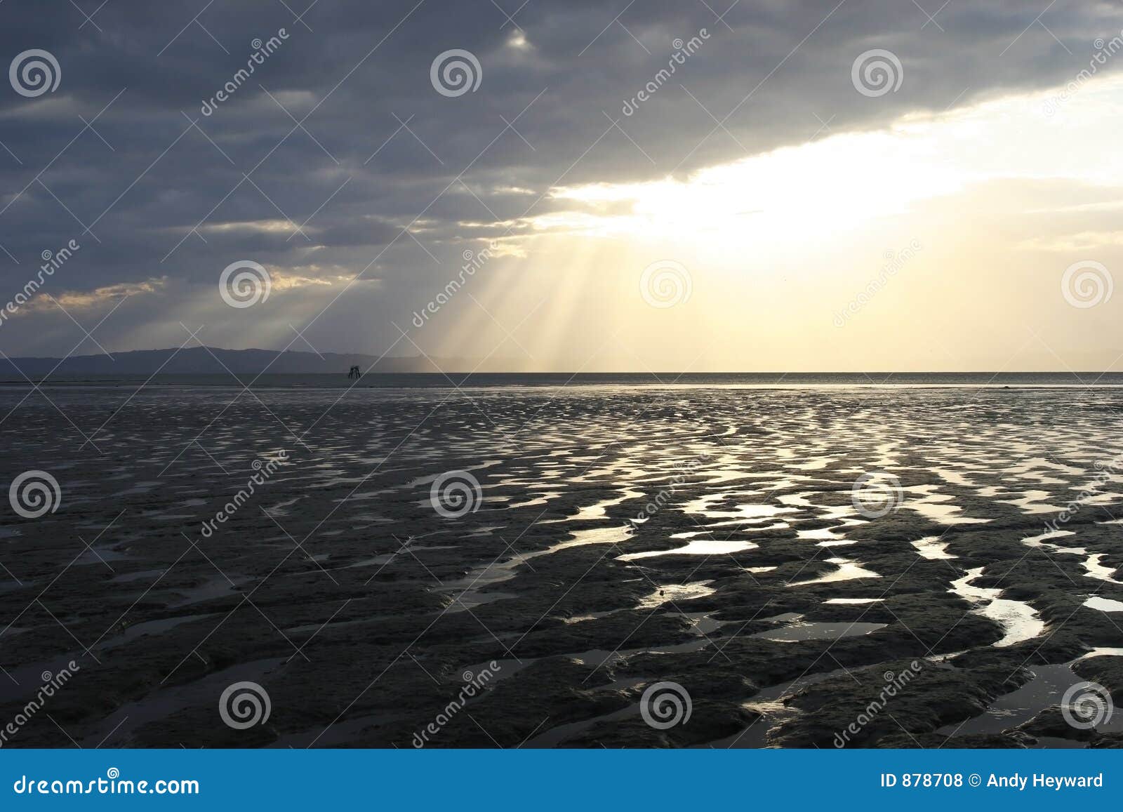 Firth of Thames stock photo. Image of tide, zealand, vescular - 878708