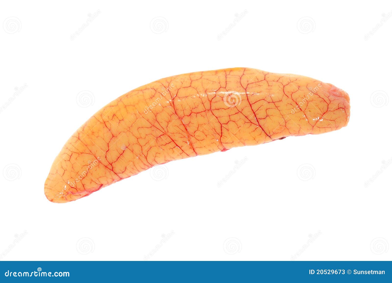 Fisch-Rogen stockbild. Bild von marinesoldat, essen, nahrung - 20529673