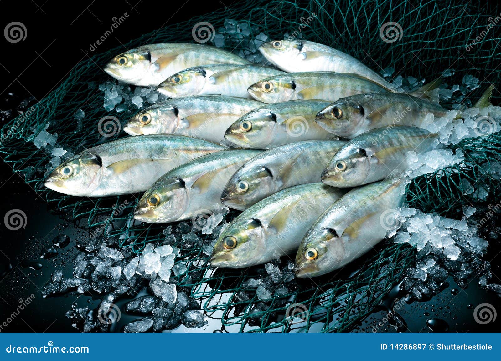 Fische stockbild. Bild von fischerei, boot, korb, geschmack - 14286897
