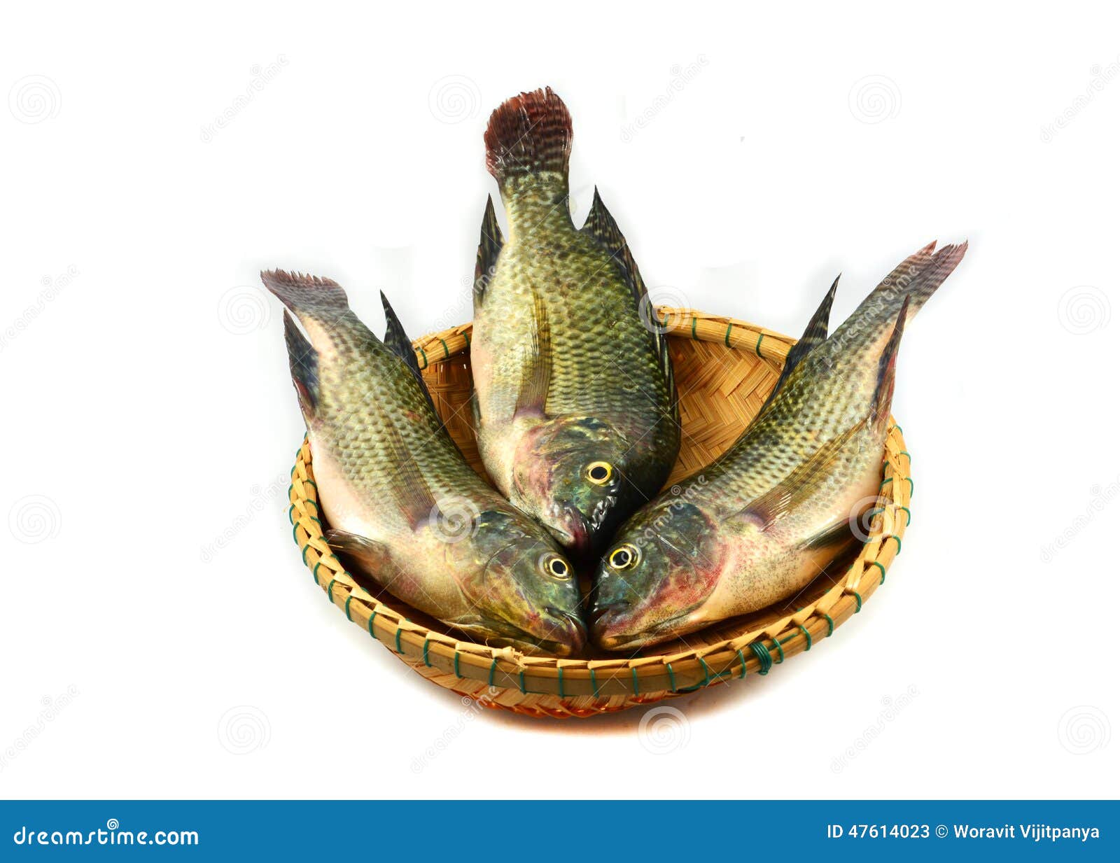Fische auf Korb stockbild. Bild von frische, rosa, petersilie - 47614023