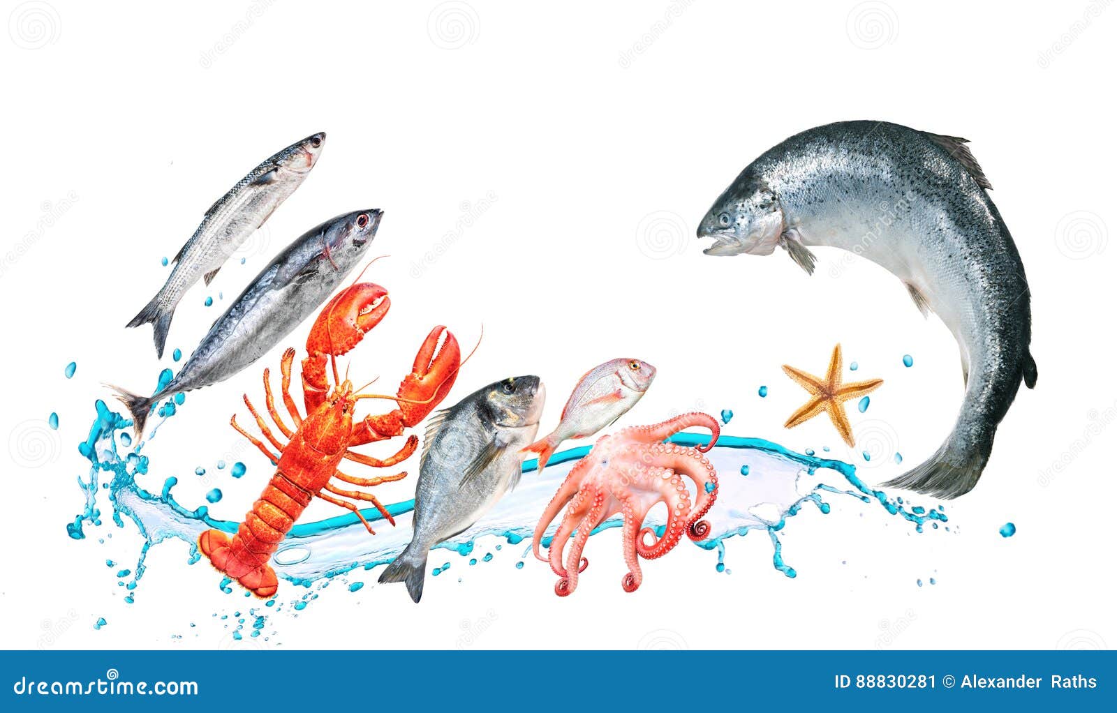 Fische Springen Mit Watersplash Stockbild - Bild von nahaufnahme ...