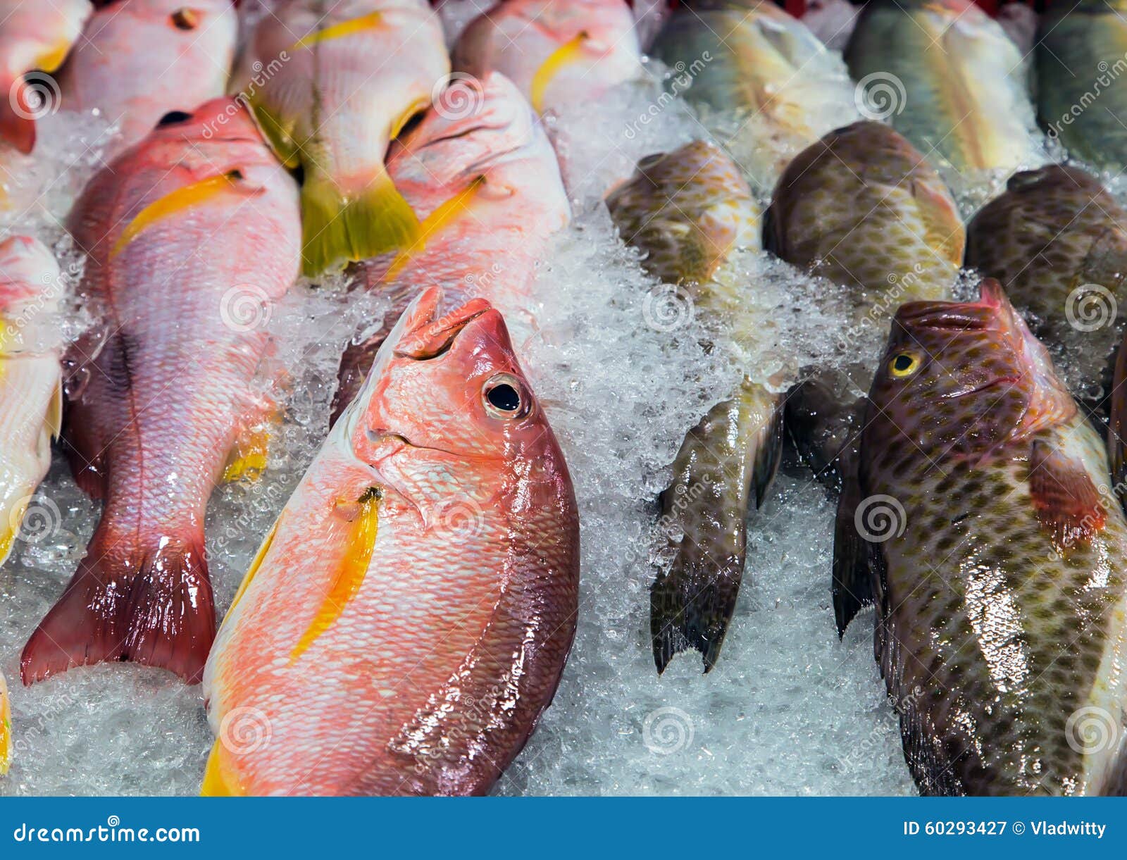 Fischeis am Straßenmarkt stockbild. Bild von markt, karosserien - 60293427