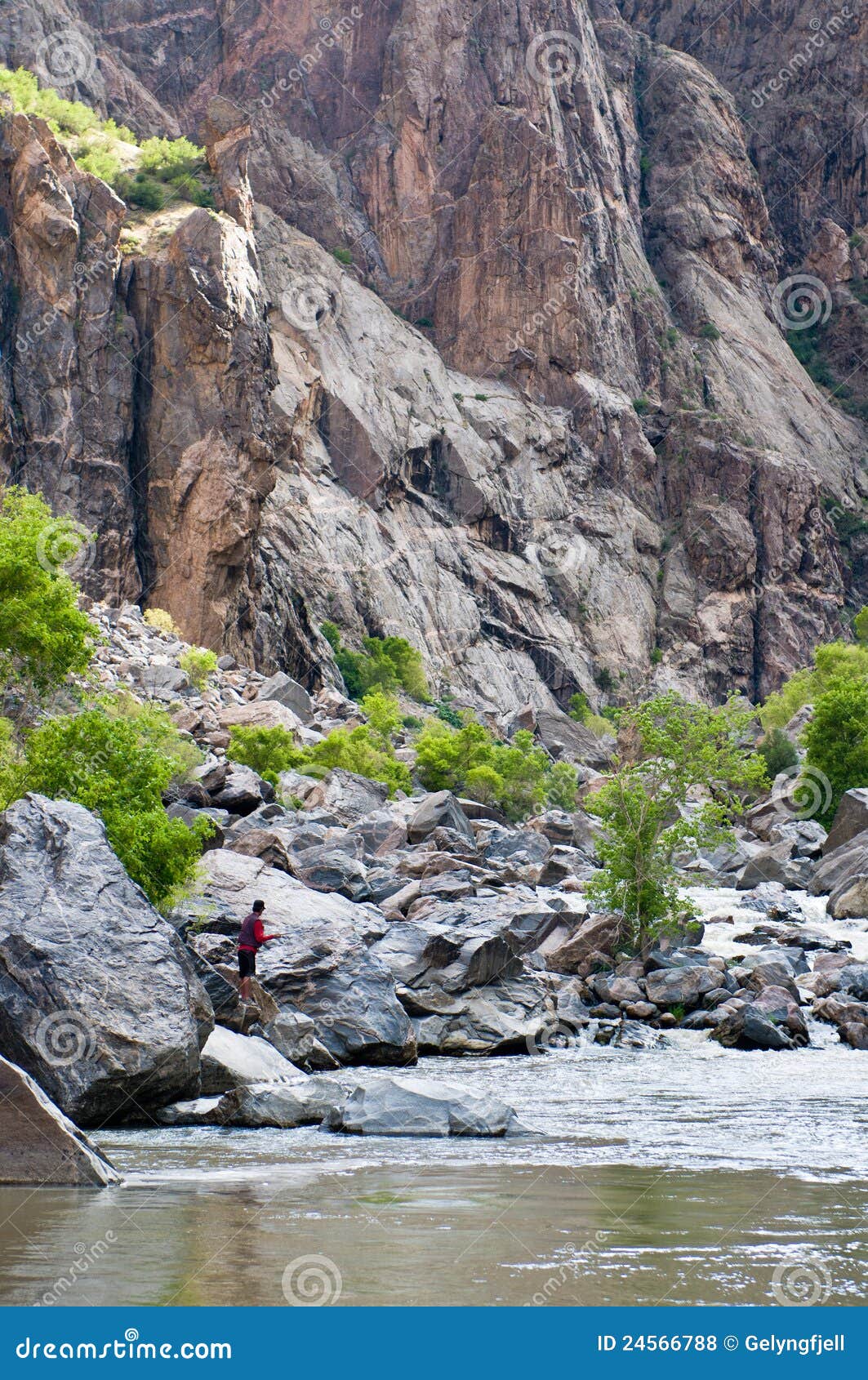 Fischen Gunnison Fluss in Der Schwarzen Schlucht Stockfoto - Bild von ...