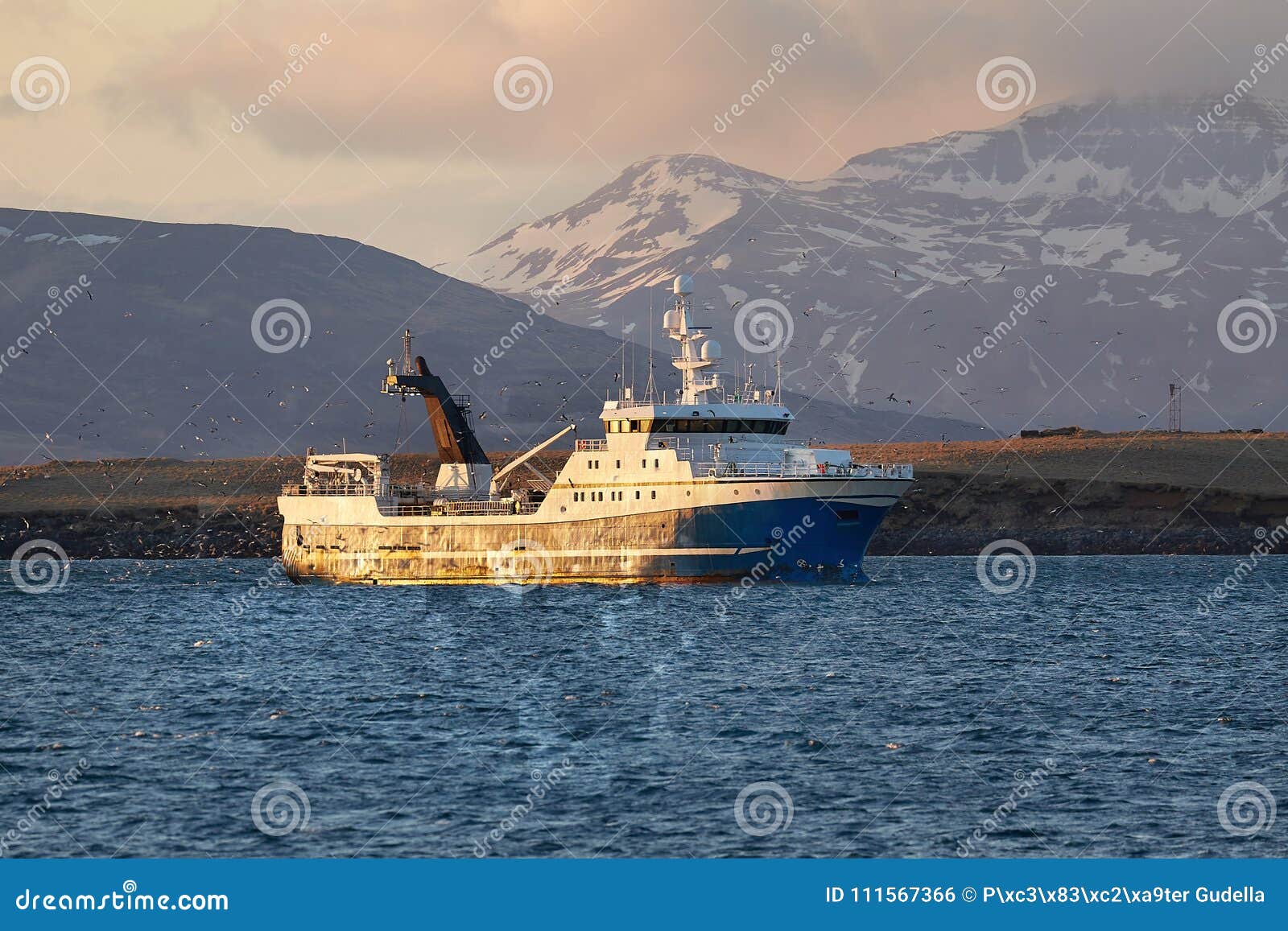 Fischerei Des Schiffs in Island Stockfoto - Bild von wirtschaftlichkeit ...