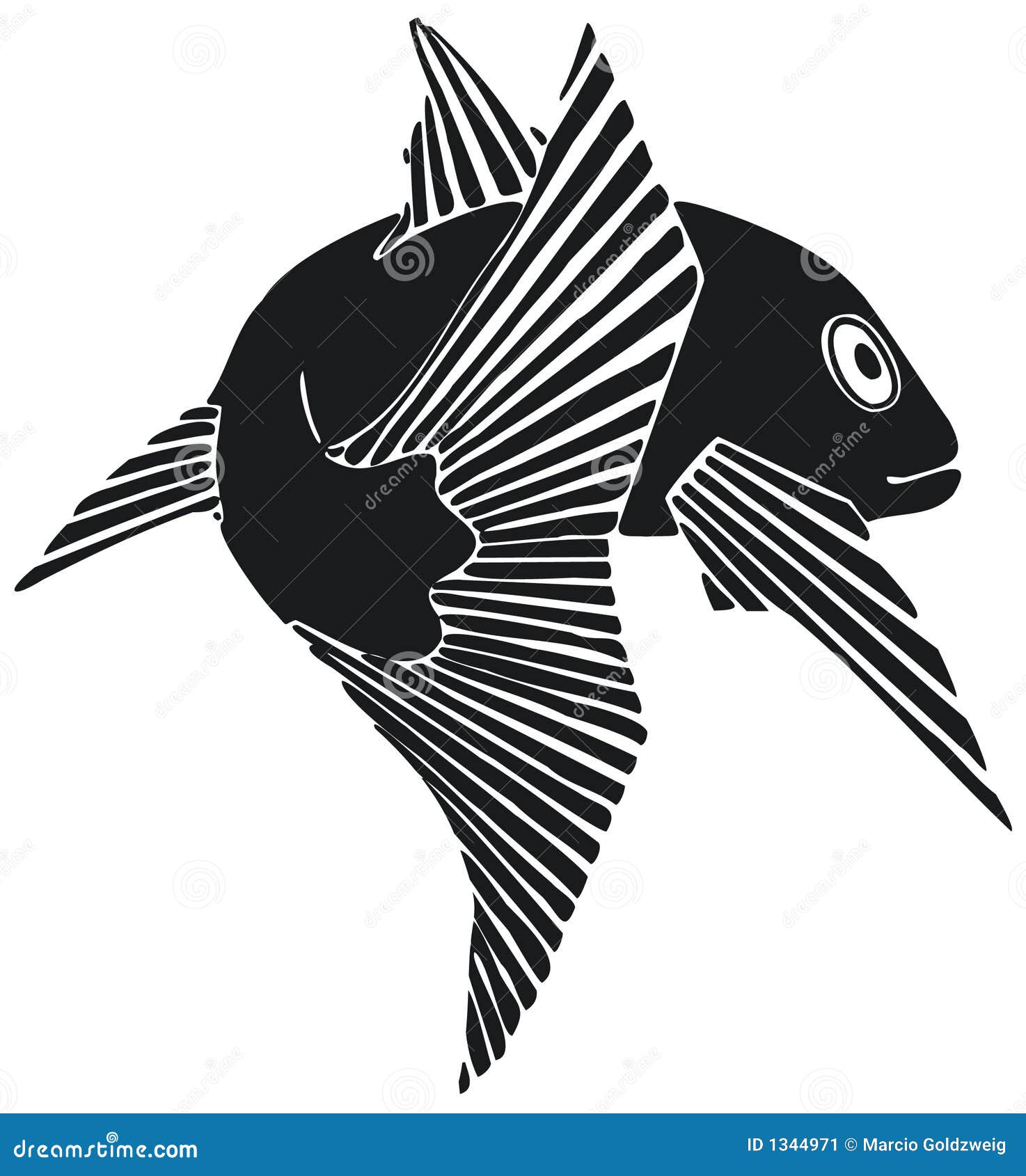 Fish Contrast Stock Illustrations – 1,917 Fish Contrast Stock ...