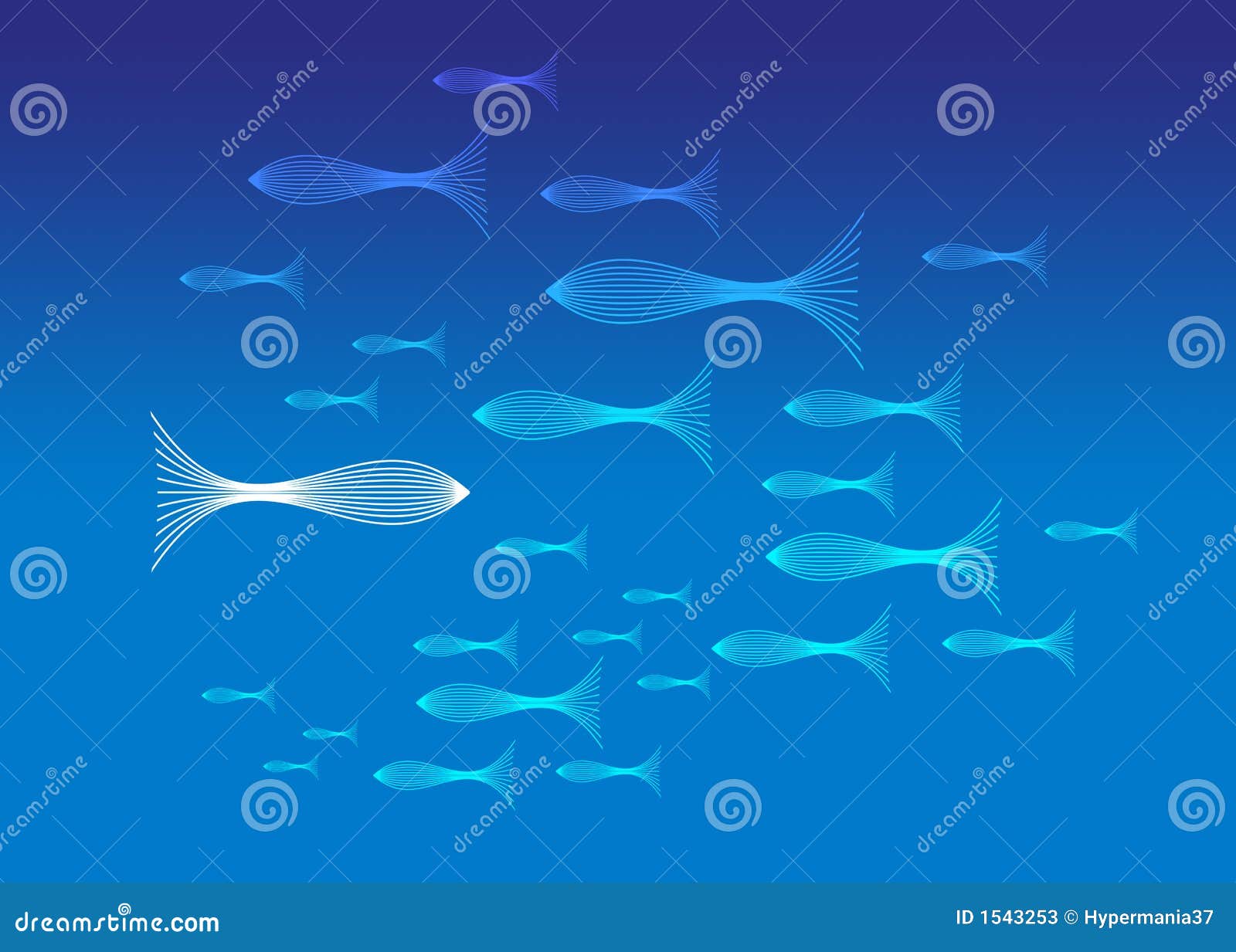 Fish Capture The Movement Of Fish Isolated On White Background.[ Breed ...