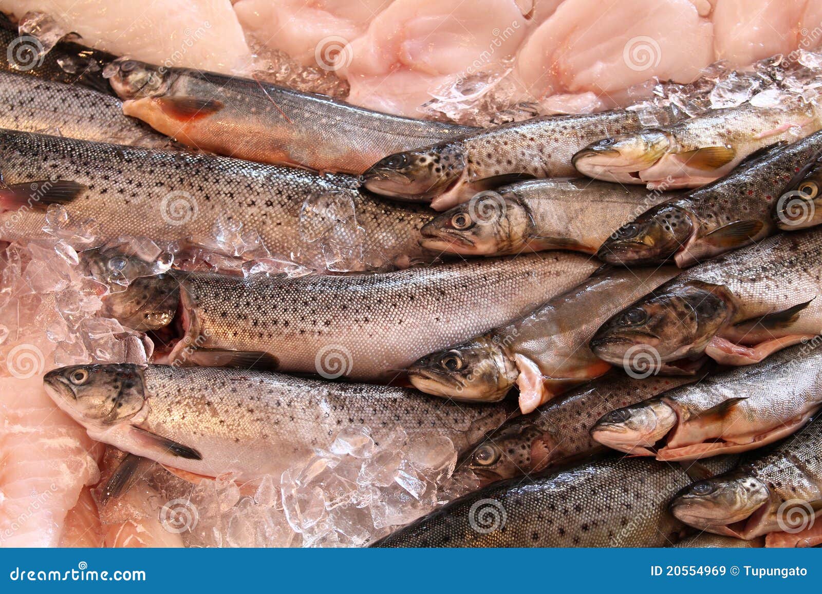 Fish stock image. Image of cuisine, cold, scandinavian - 20554969