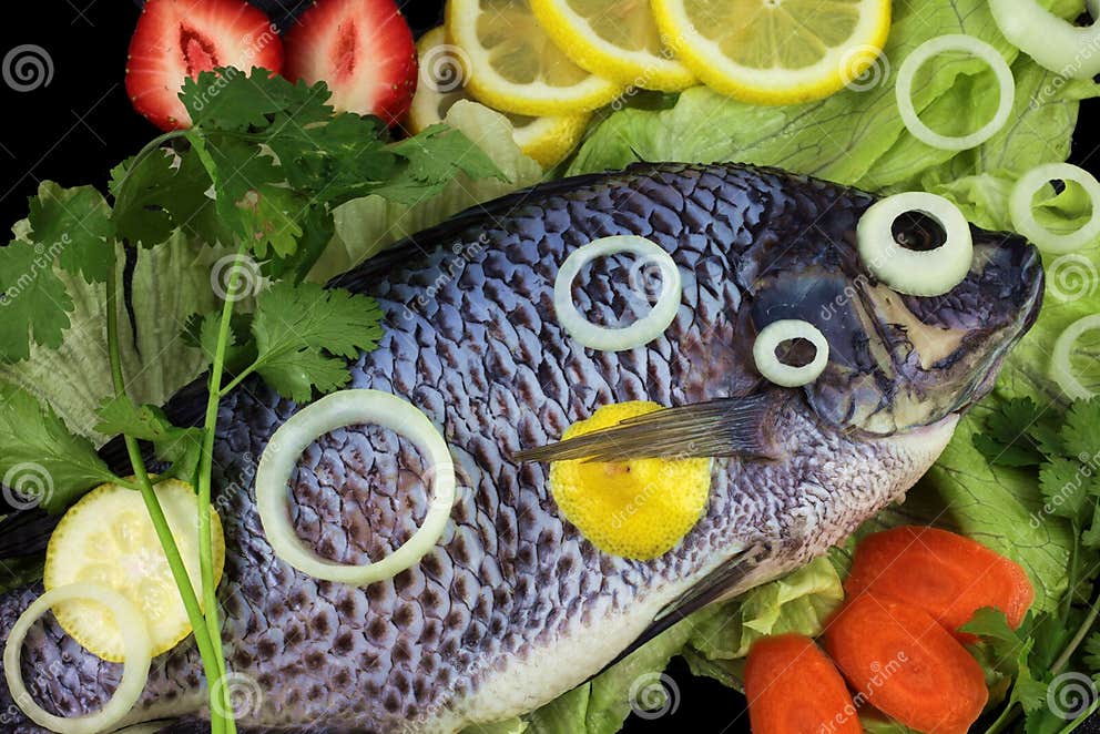 Fish stock image. Image of eating, iceberg, horizontal - 21545559