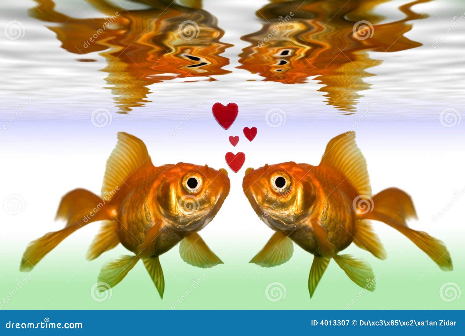 Fish Kiss Royalty-Free Stock Photo | CartoonDealer.com #30867405