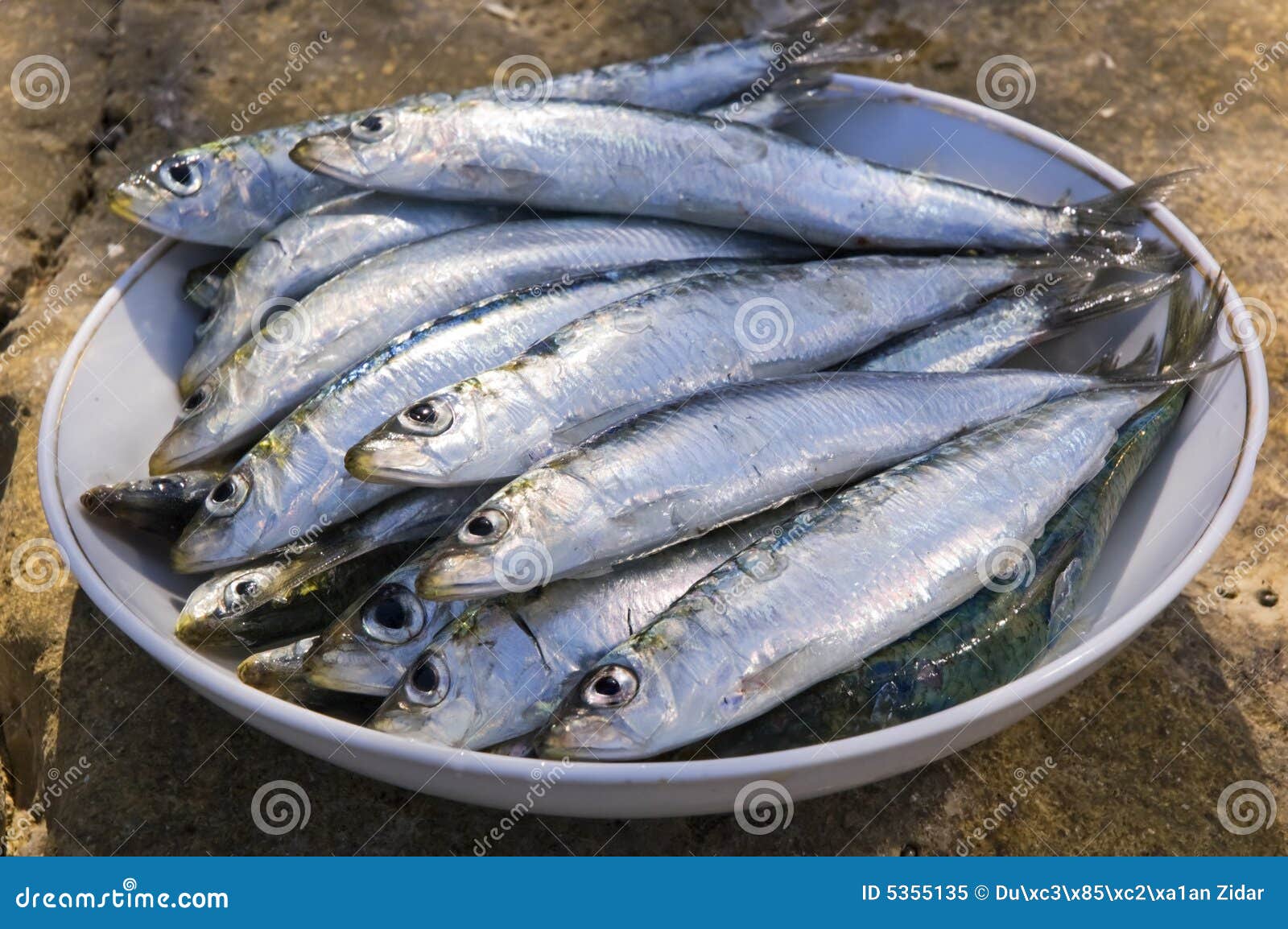 Fish stock image. Image of food, blue, anchovies, healthy - 5355135