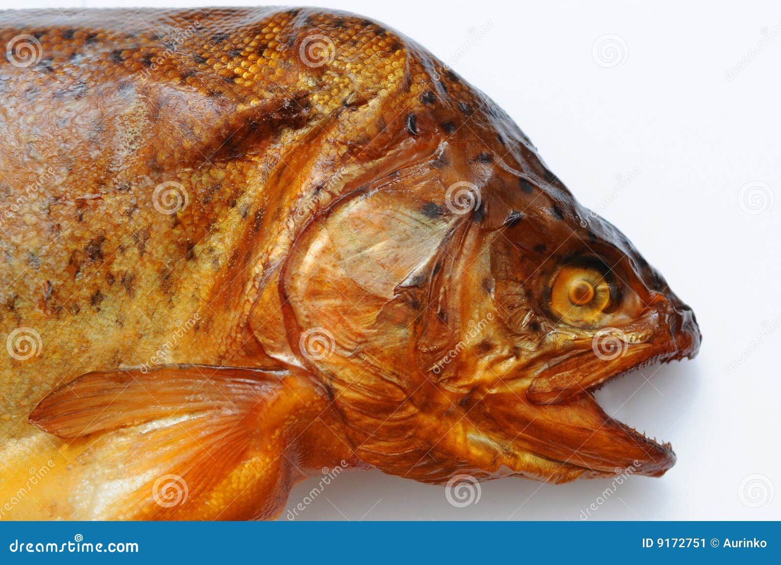 Fish stock image. Image of fish, eyes, head, food, meat - 9172751