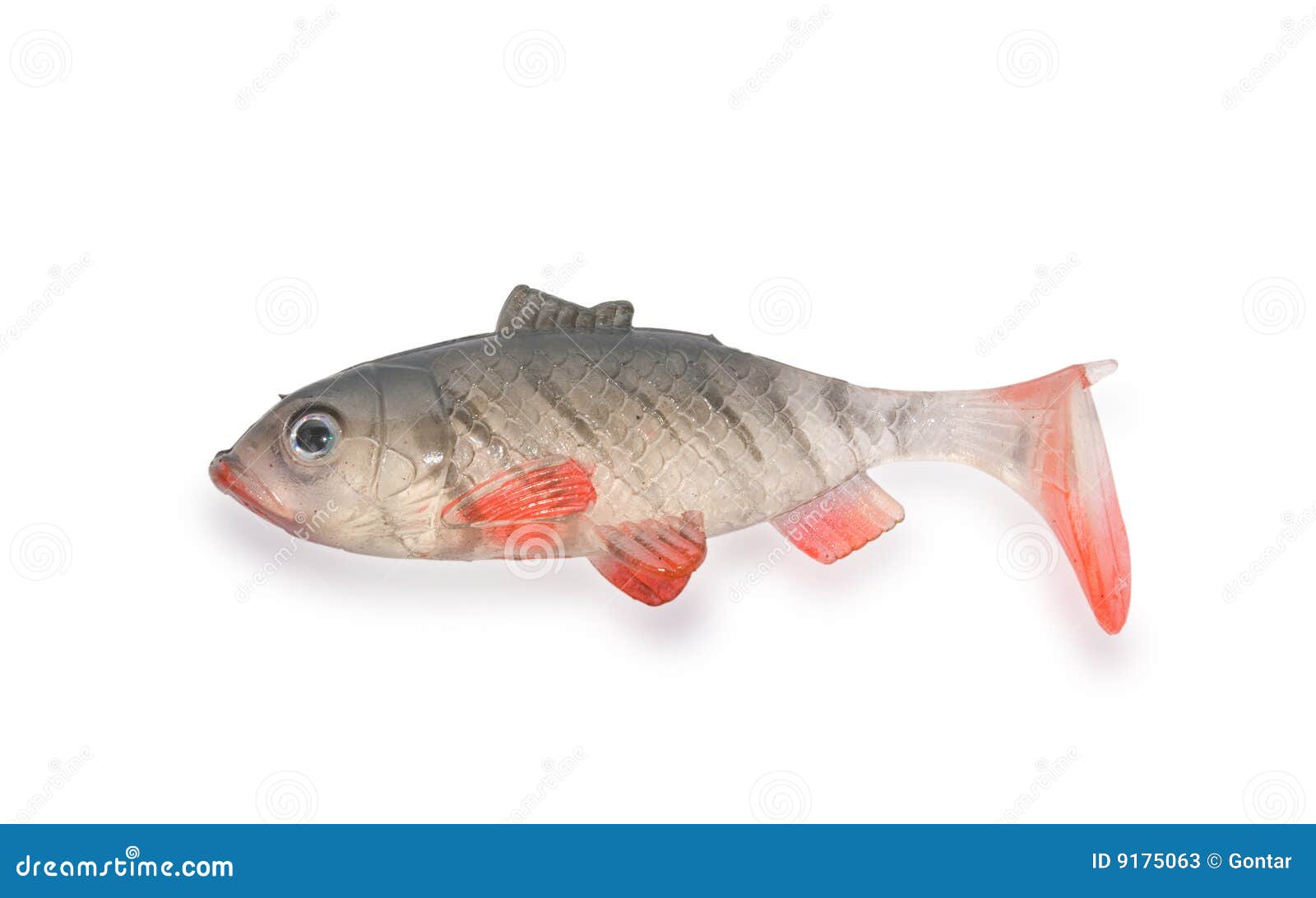 Fish stock image. Image of white, deep, twitching, isolated - 9175063