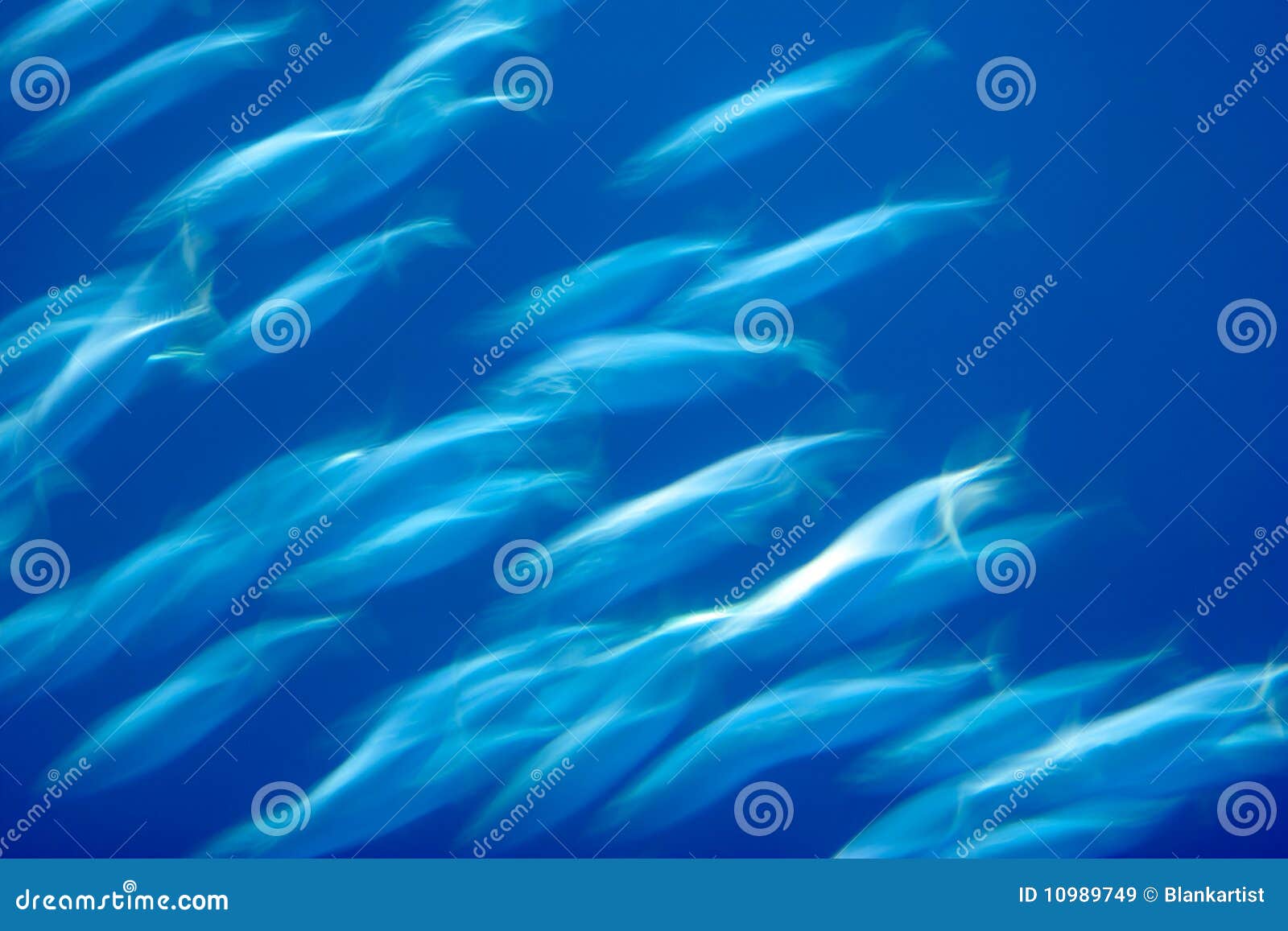 Fish abstract background stock image. Image of blur, aqua - 10989749