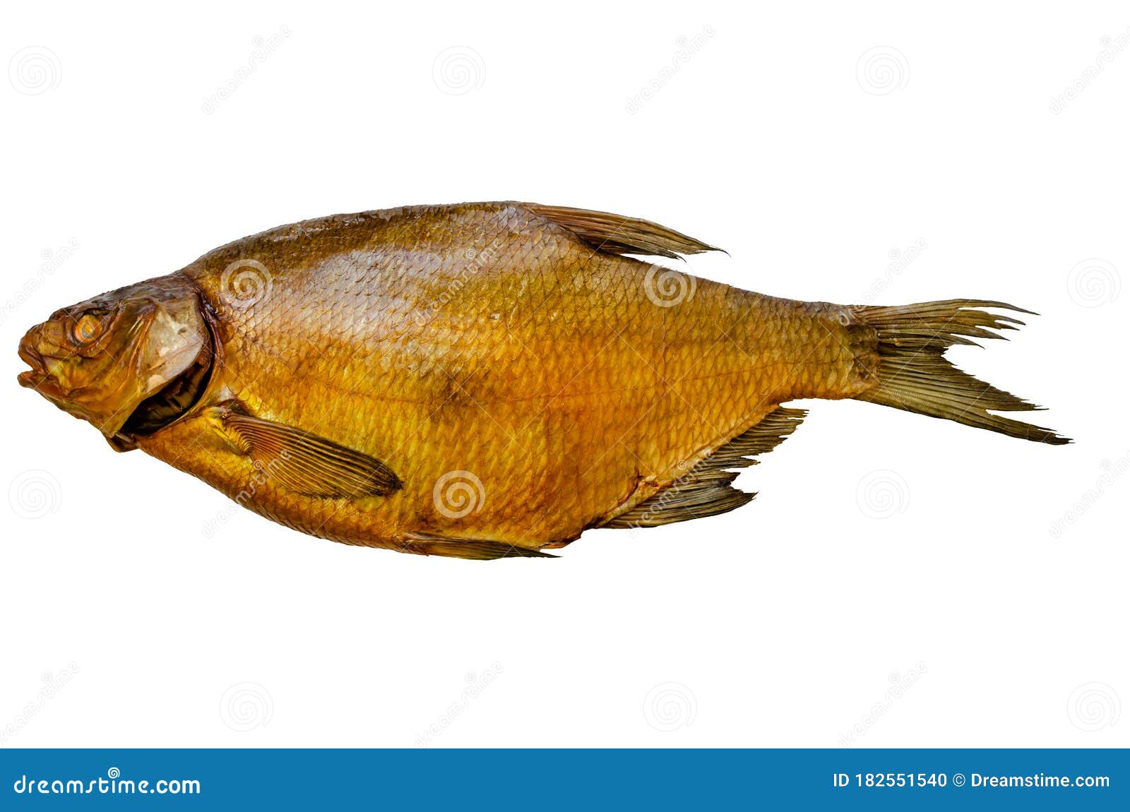 The Fish is Already Cooked.Isolate on a White Background.Smoked Bream ...