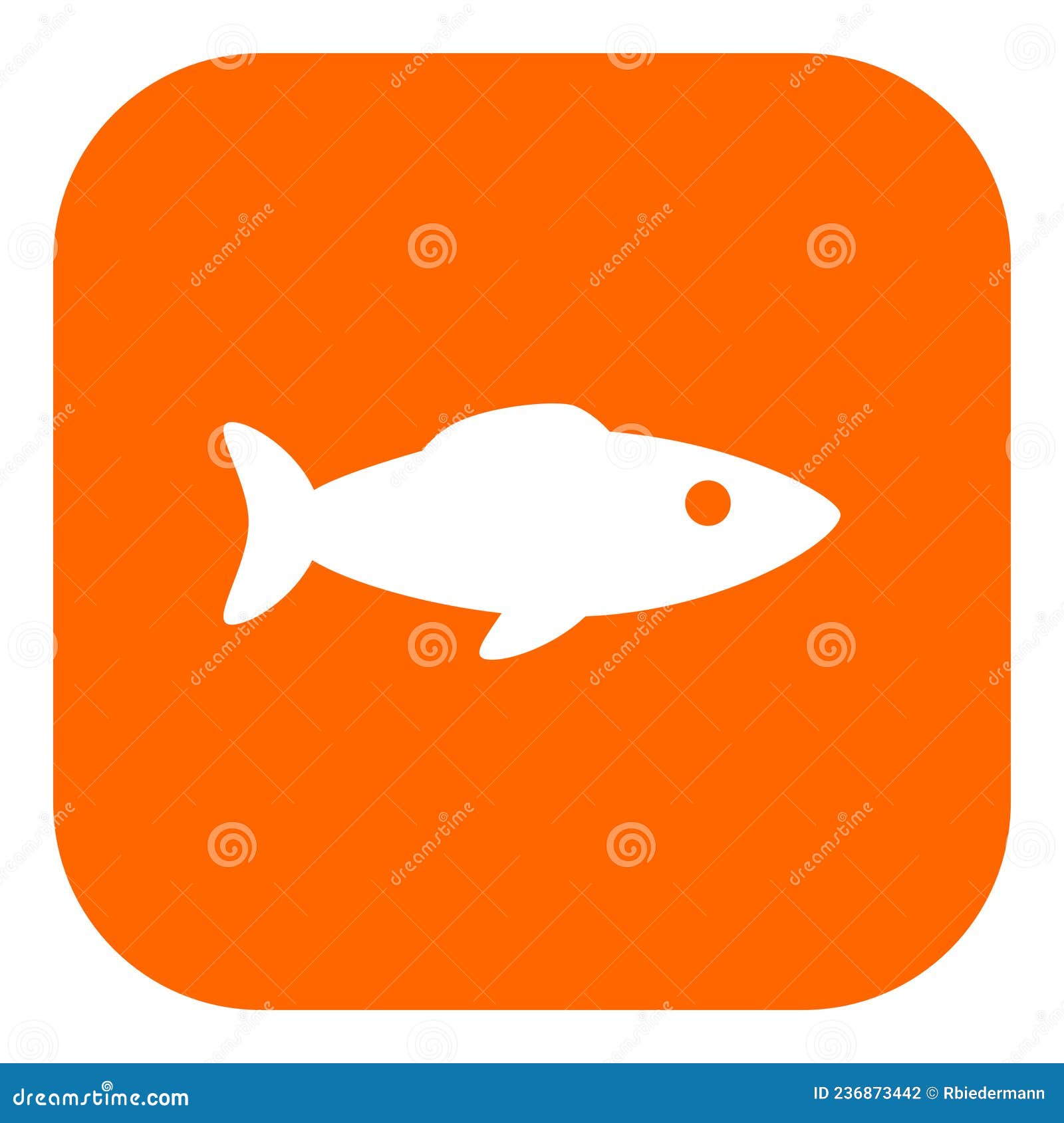Fish and app icon stock vector. Illustration of graphic - 236873442