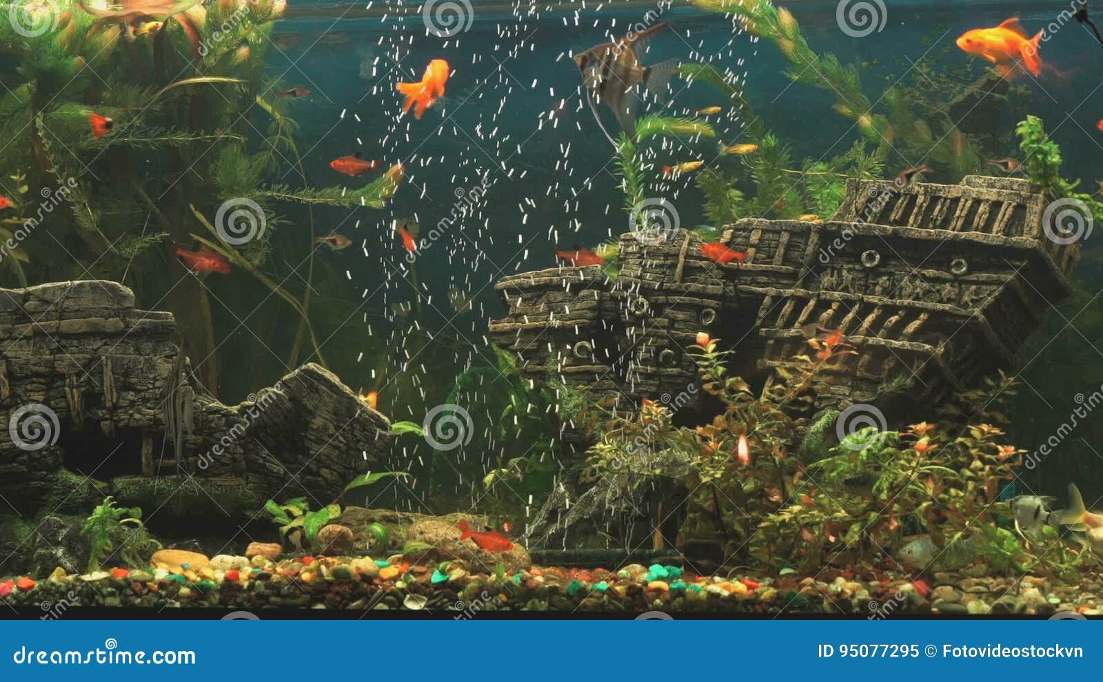 Fish into Aquarium in Form of Ancient Sunken Ship Stock Video - Video ...