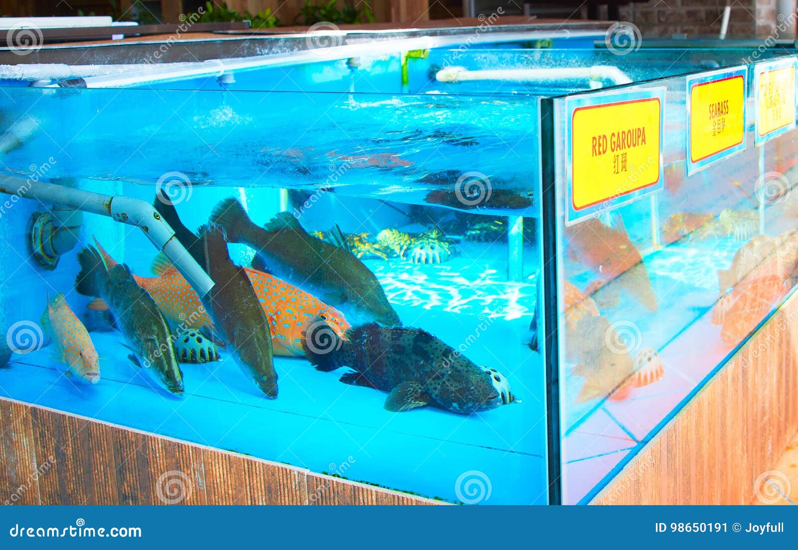 Fish Aquarium at Restaurant Stock Image - Image of boatquay, market ...