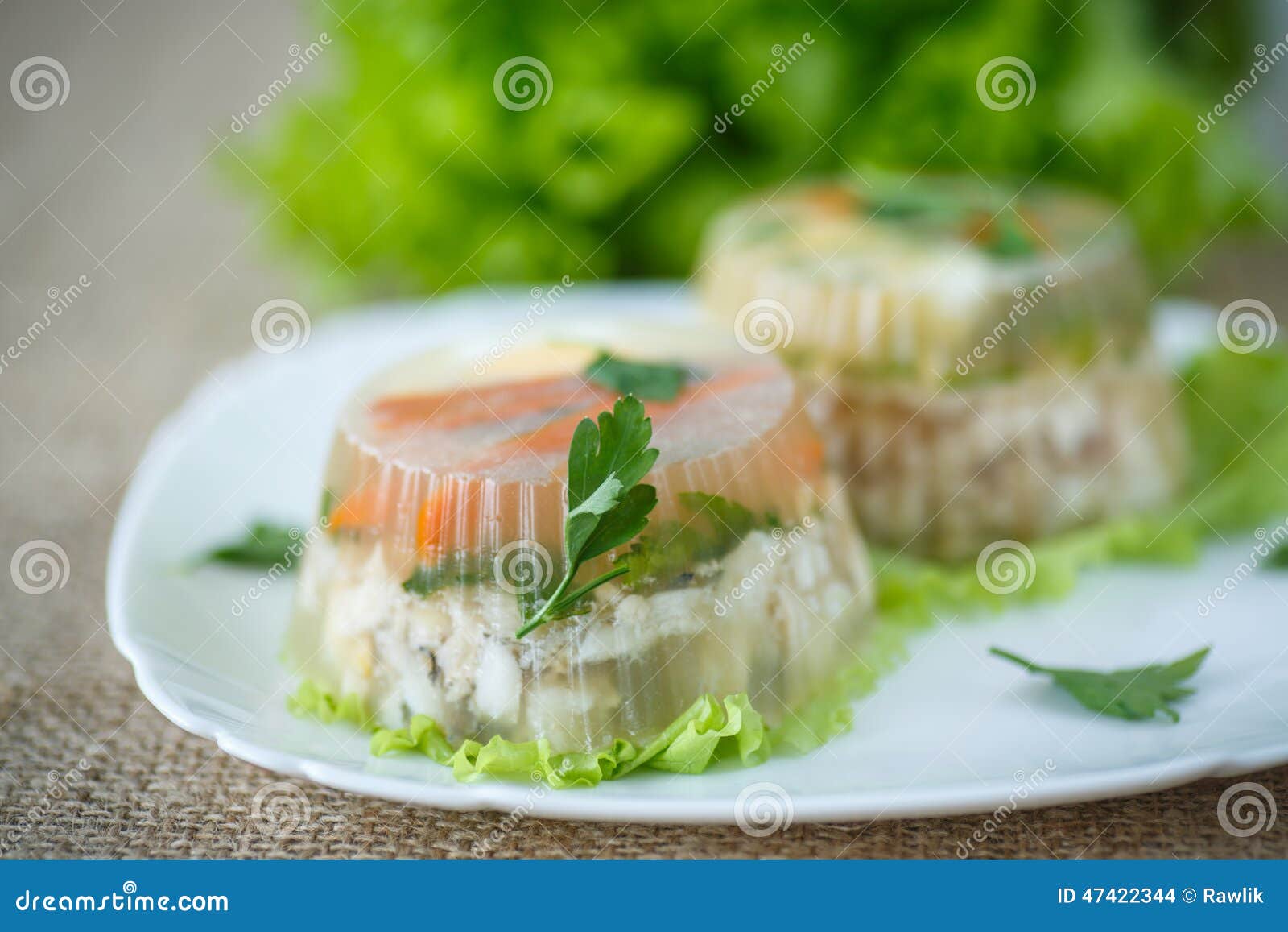 Fish in aspic stock photo. Image of macro, boiled, carrots - 47422344