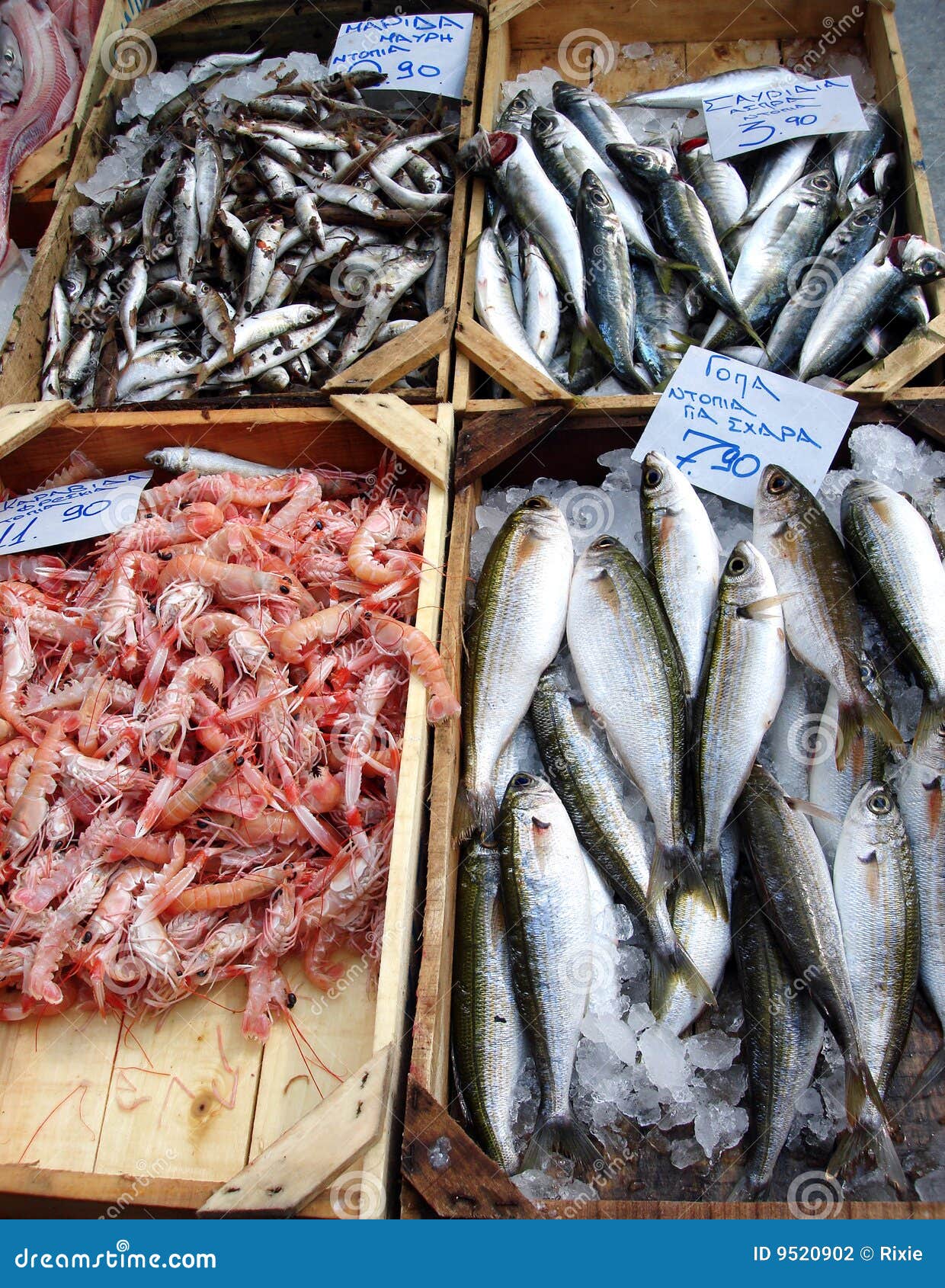 Fish assortment stock photo. Image of market, greece, fresh - 9520902