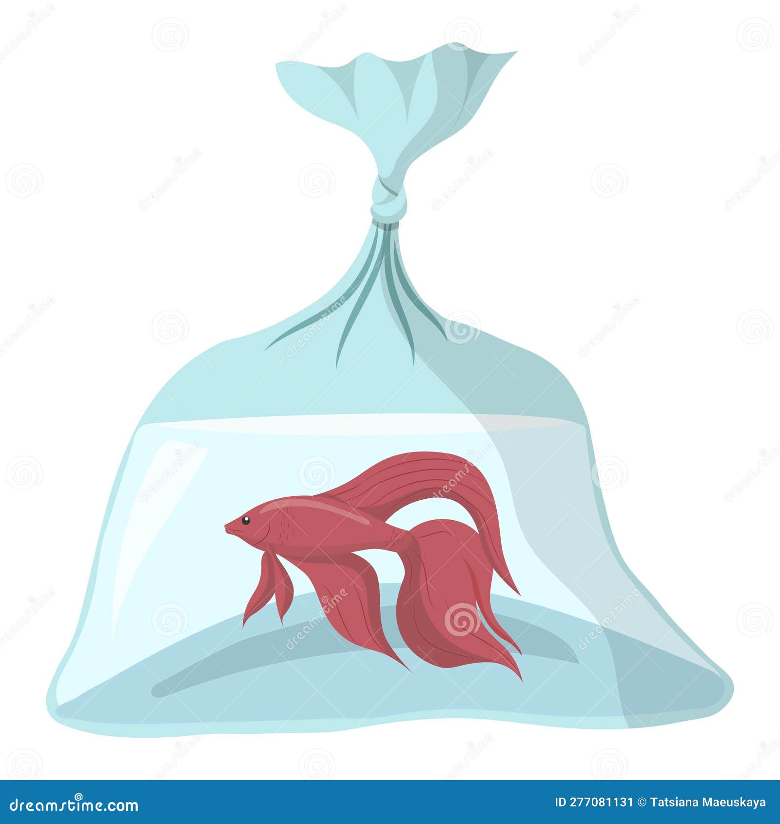Fish in a Bag. Vector Illustration Isolated on a White Background Stock ...