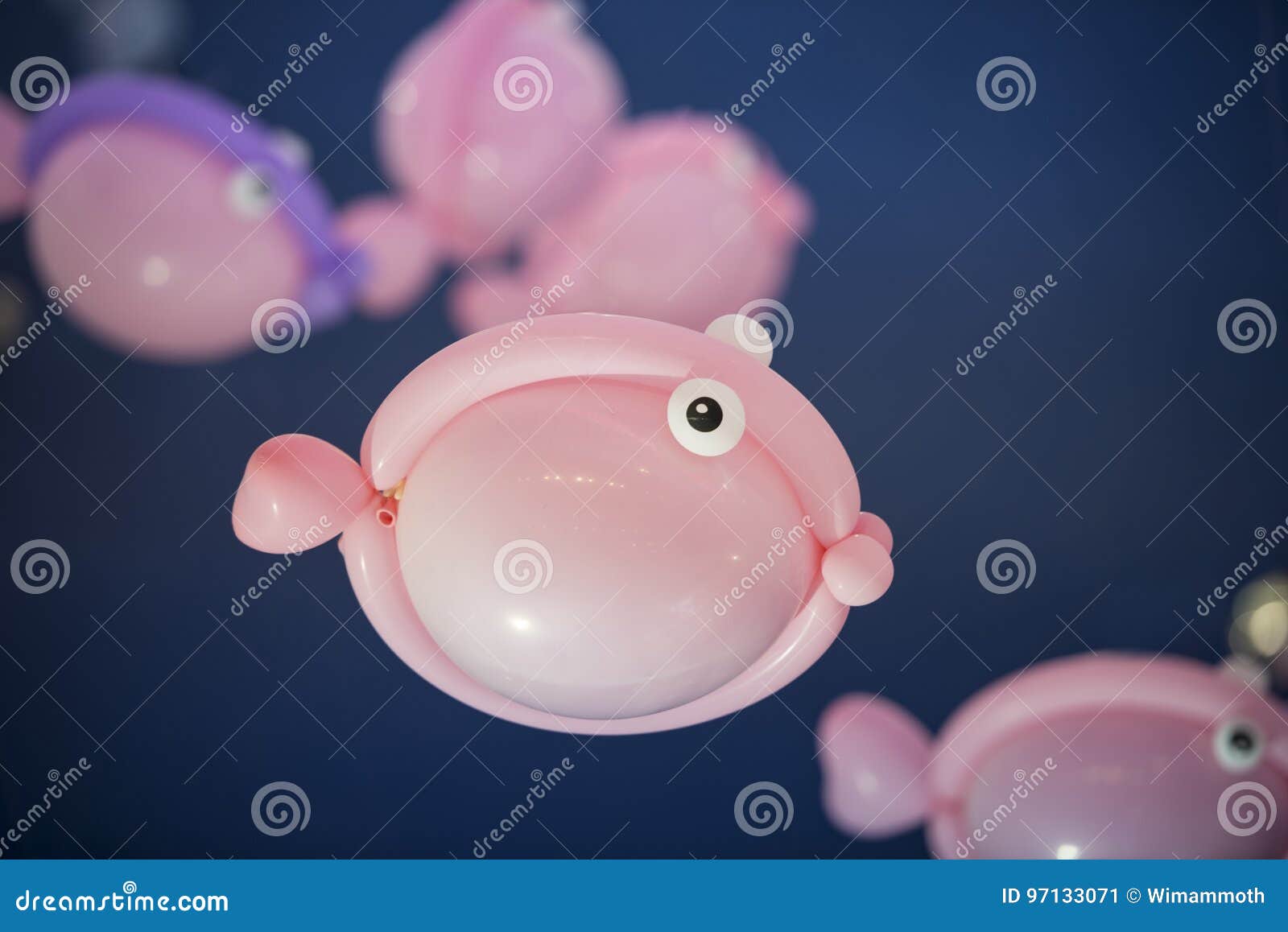 Fish balloon stock image. Image of bright, animal, balloon - 97133071