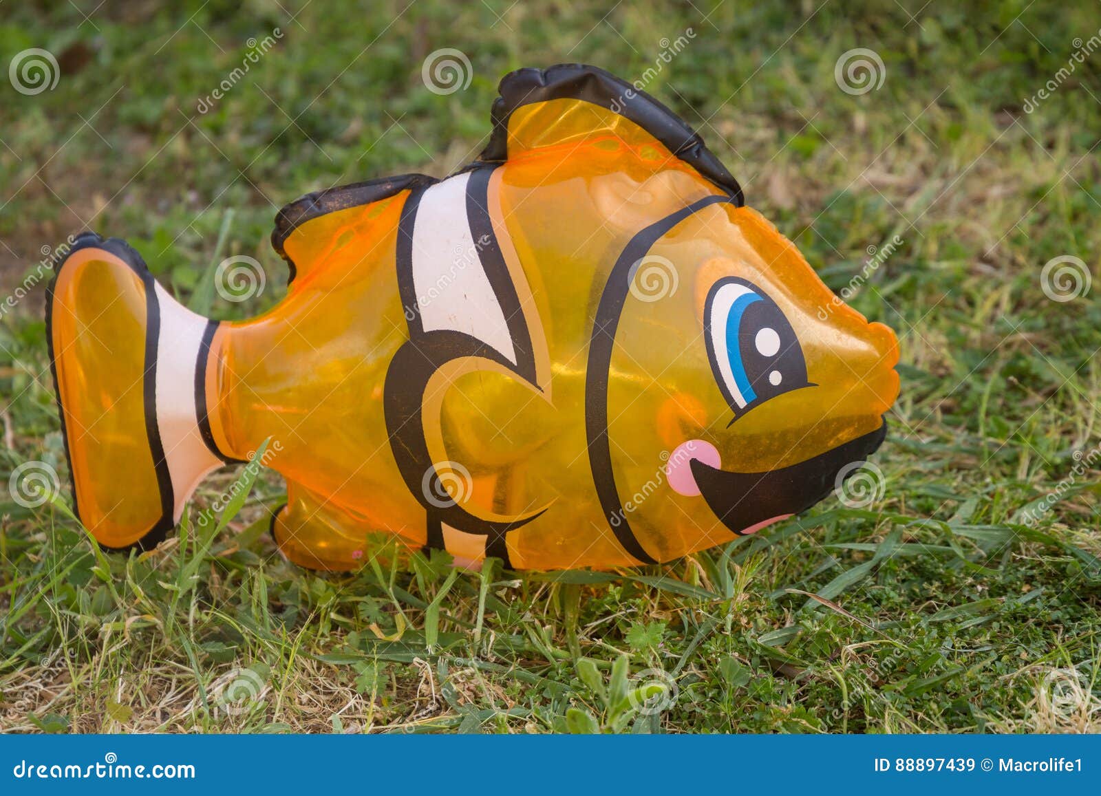 Fish balloon stock image. Image of balloons, inflatable - 88897439