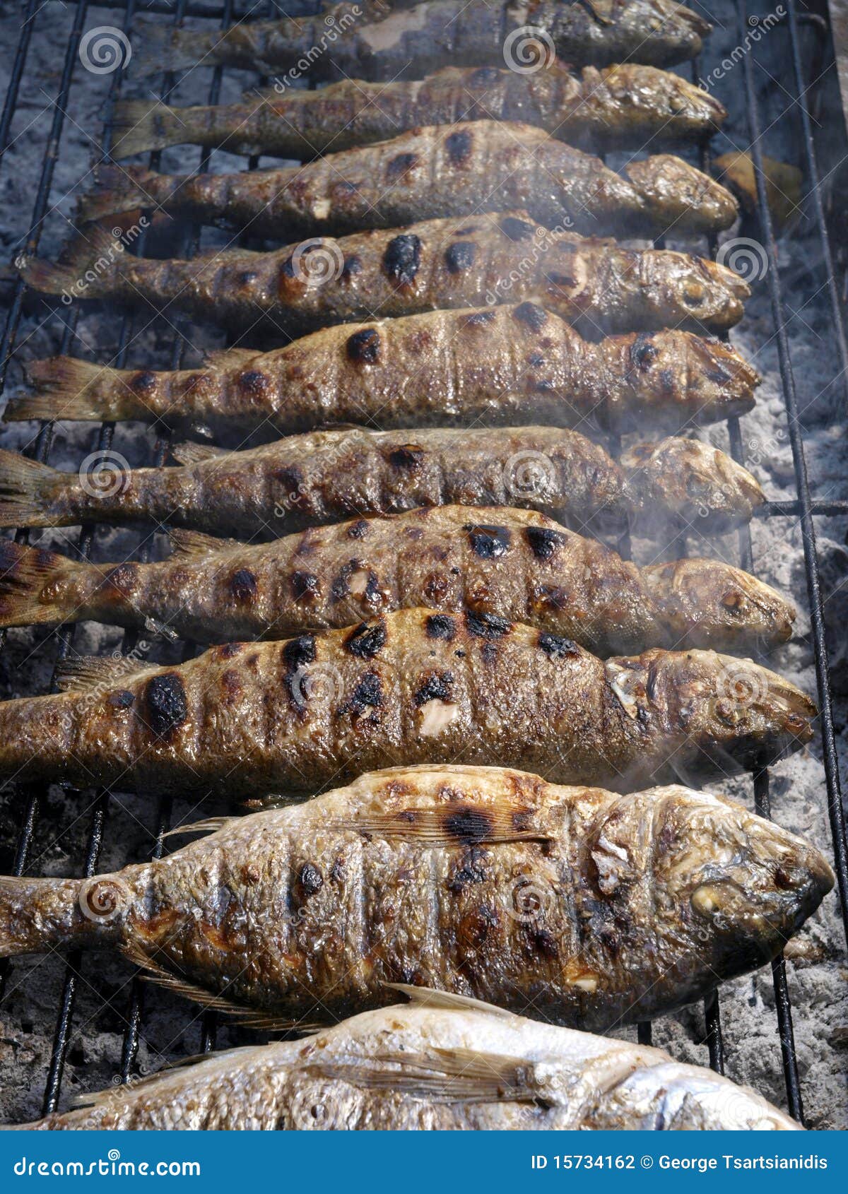 Fish barbecue stock photo. Image of delicious, barbecue - 15734162