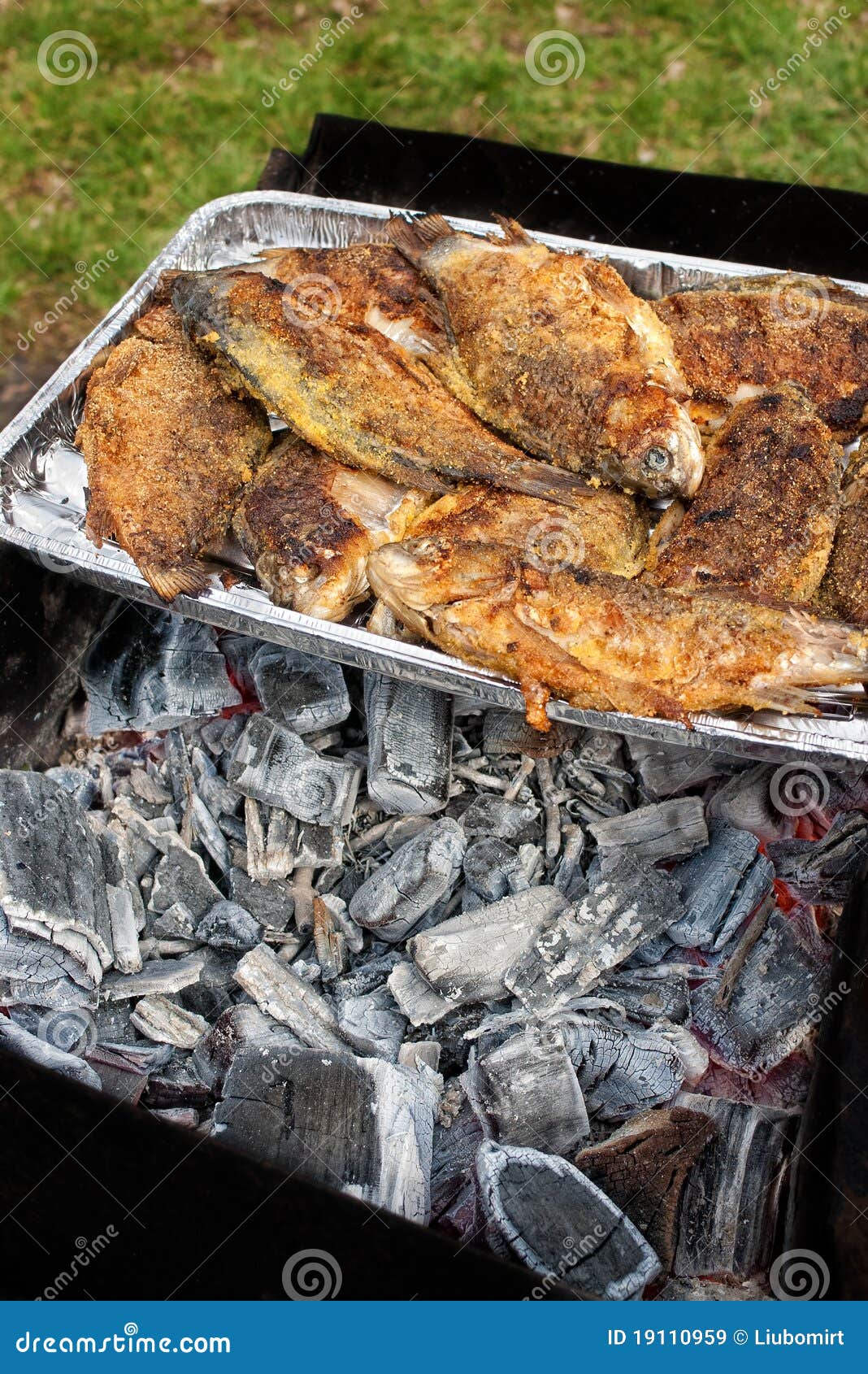 Fish on barbecue stock image. Image of river, cooking - 19110959