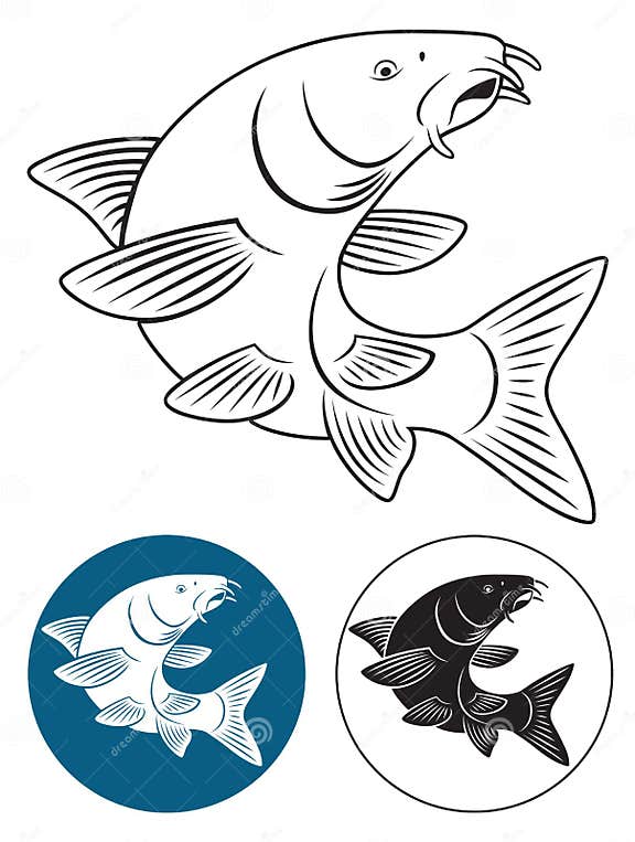 Fish barbel stock vector. Illustration of water, bait - 31272918
