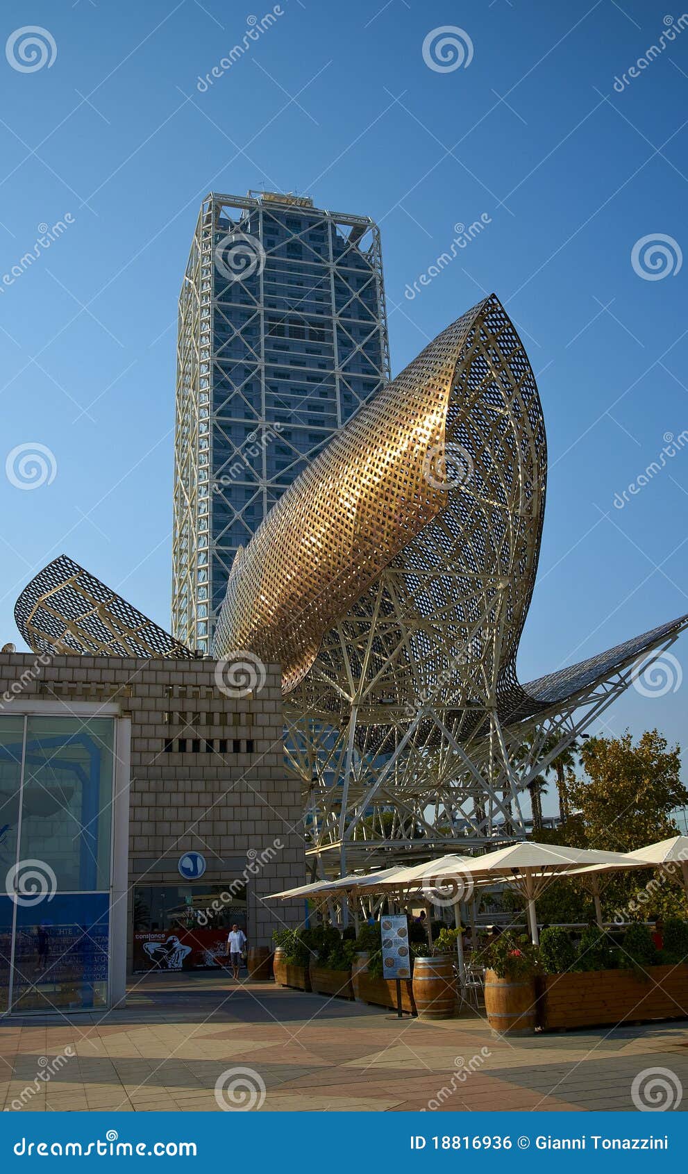 Fish in Barceloneta editorial photo. Image of modern - 18816936