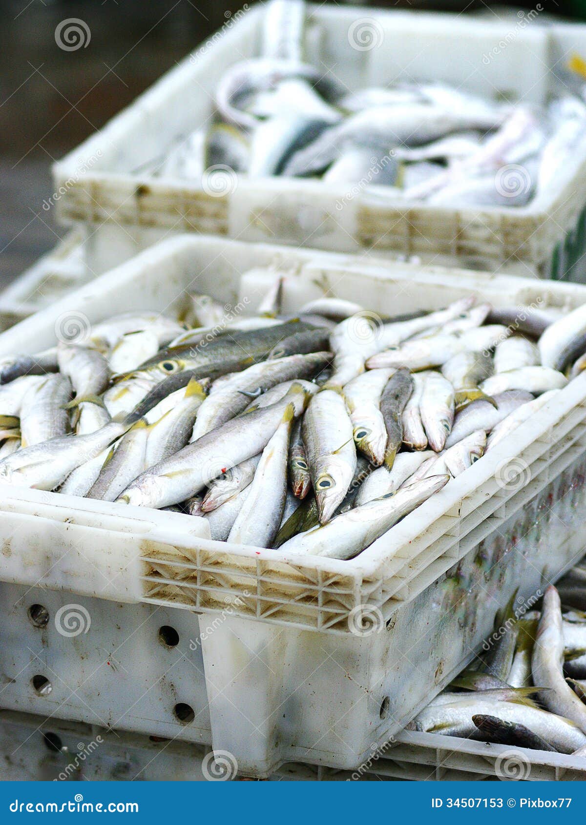 Fish in basket stock image. Image of sell, product, ingredient - 34507153