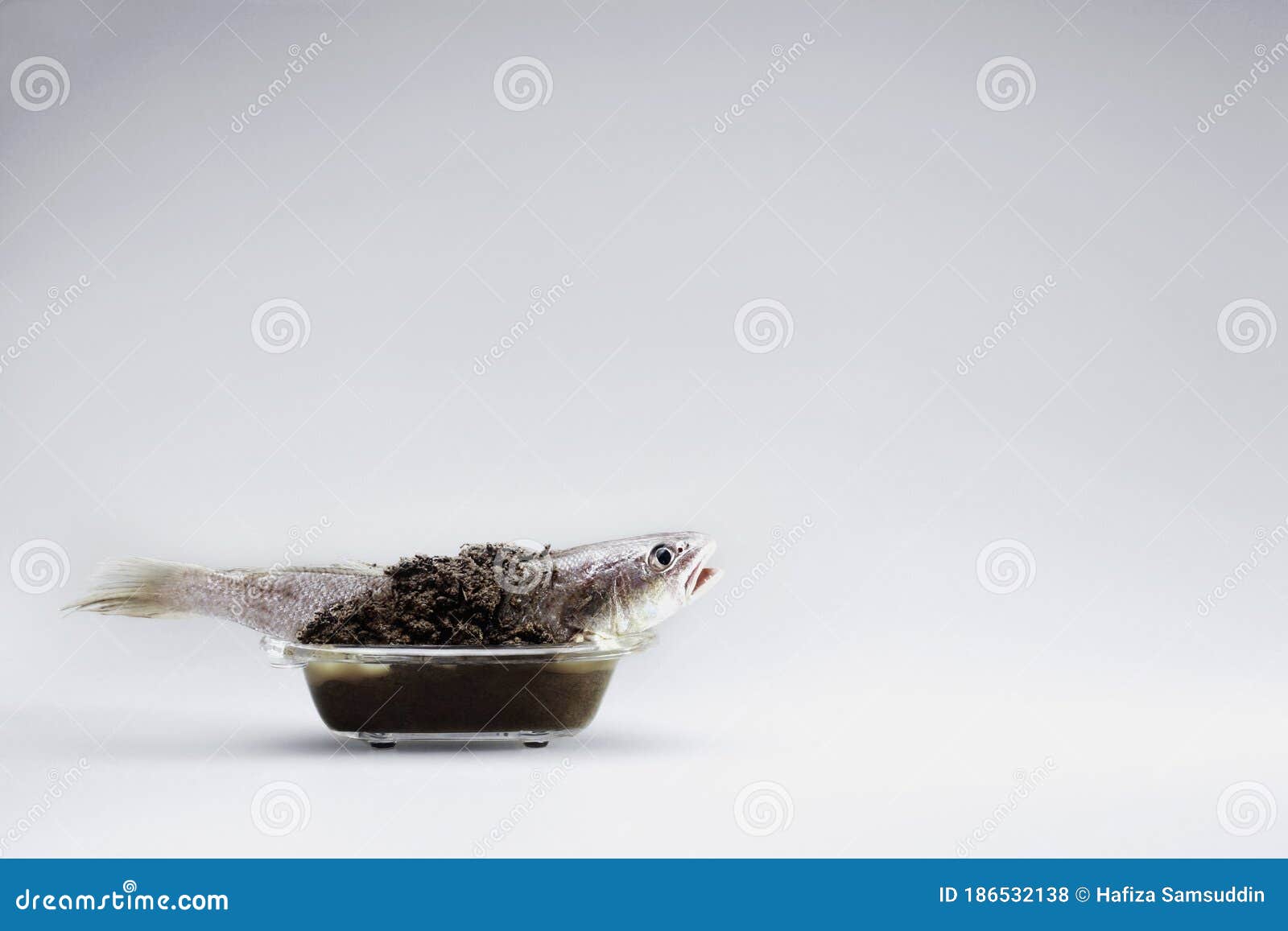 Fish In Soil Stock Image | CartoonDealer.com #169362763