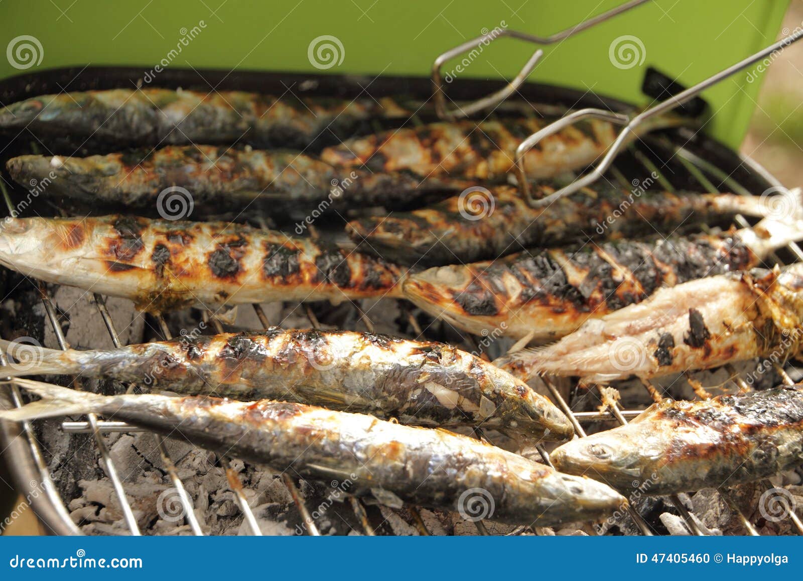 Fish bbq stock photo. Image of food, burn, cooking, fish - 47405460