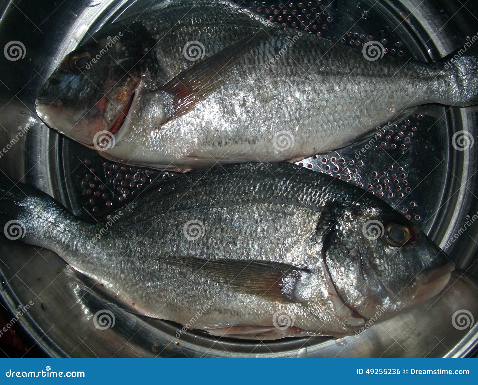 Fish stock photo. Image of beautiful, animal, fish, food - 49255236