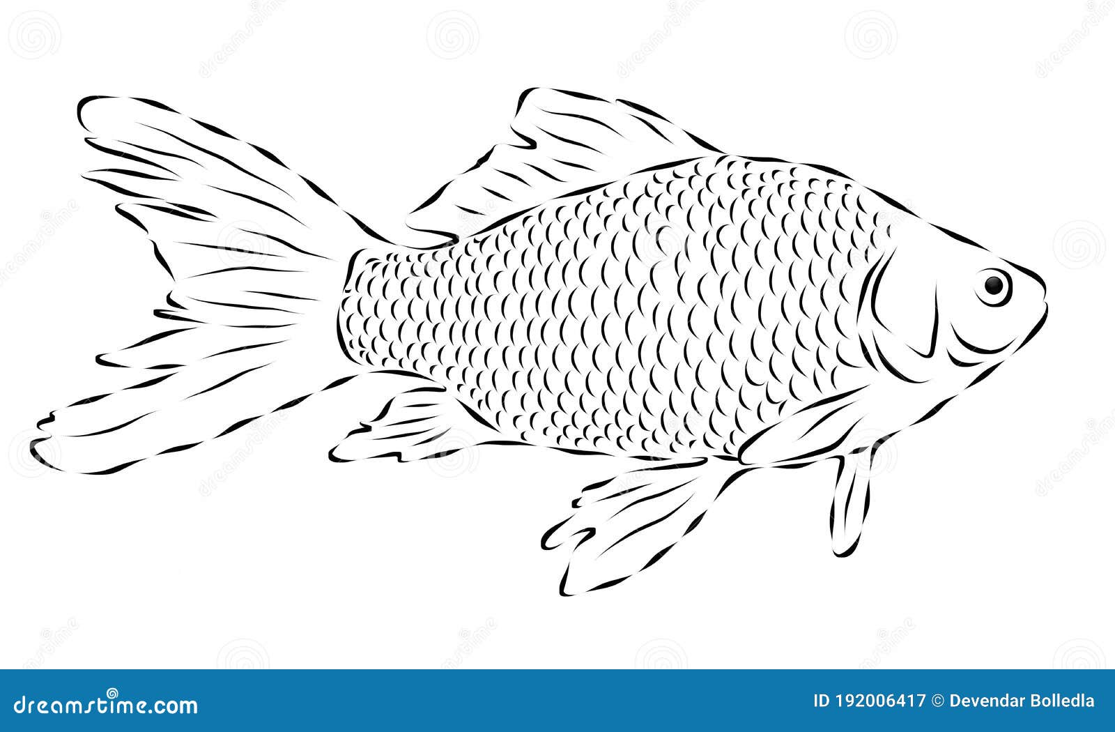 Fish Beautiful Illustration on Plain White Background Stock ...