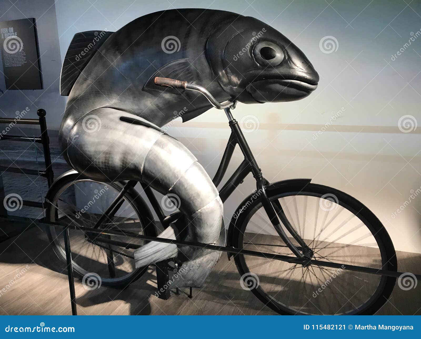 Fish on a bicycle editorial photo. Image of museum, guinness - 115482121